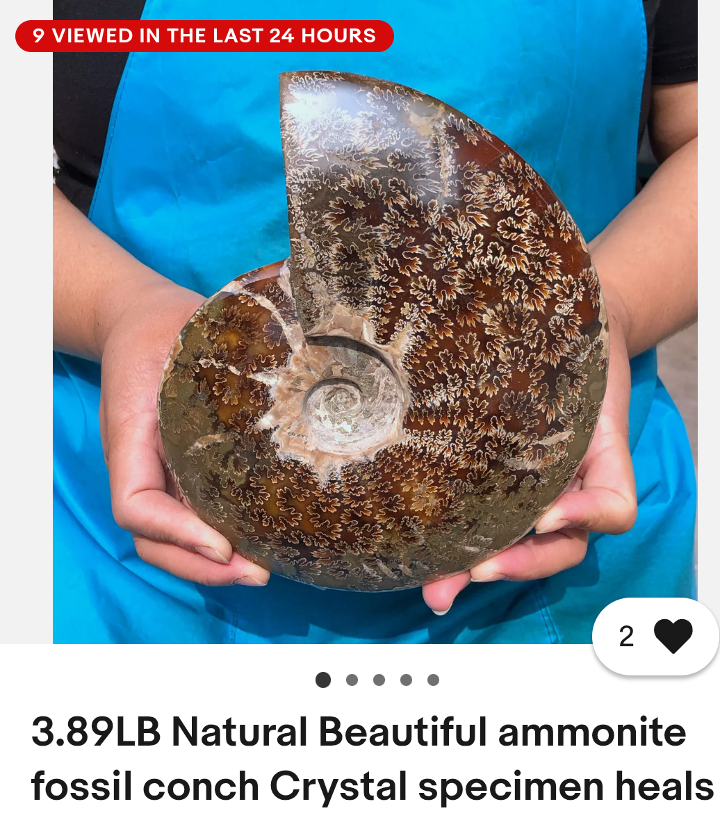 Huge polished Madagascar ammonites fake? - Is It Real? How to Recognize ...