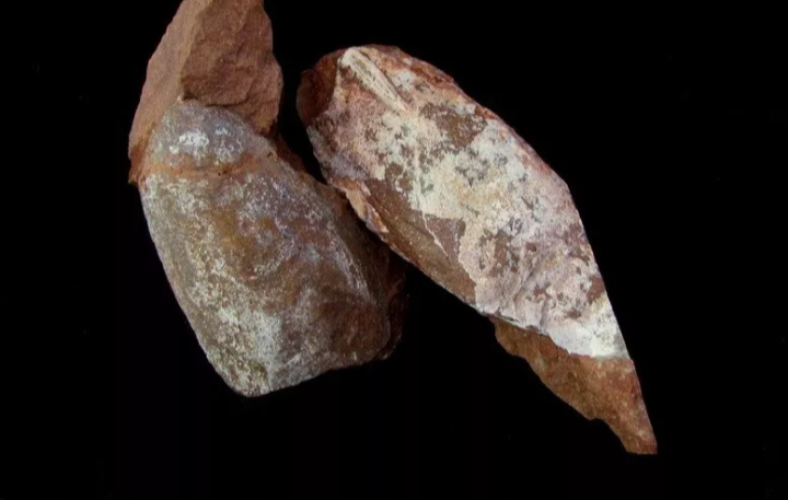 Ukranian Fish Fossils - Is It Real? How to Recognize Fossil ...