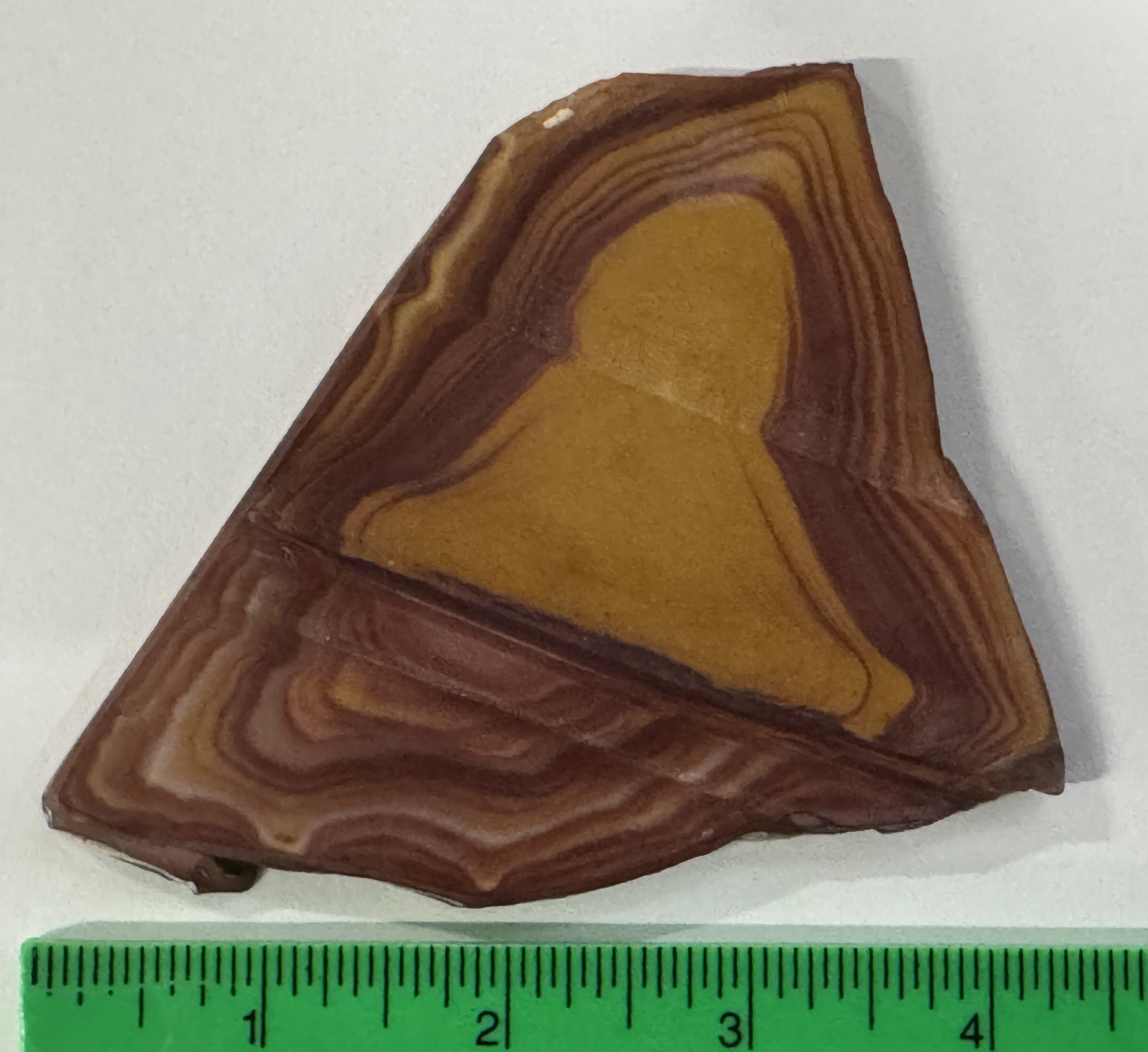 Banded iron? - Fossil ID - The Fossil Forum