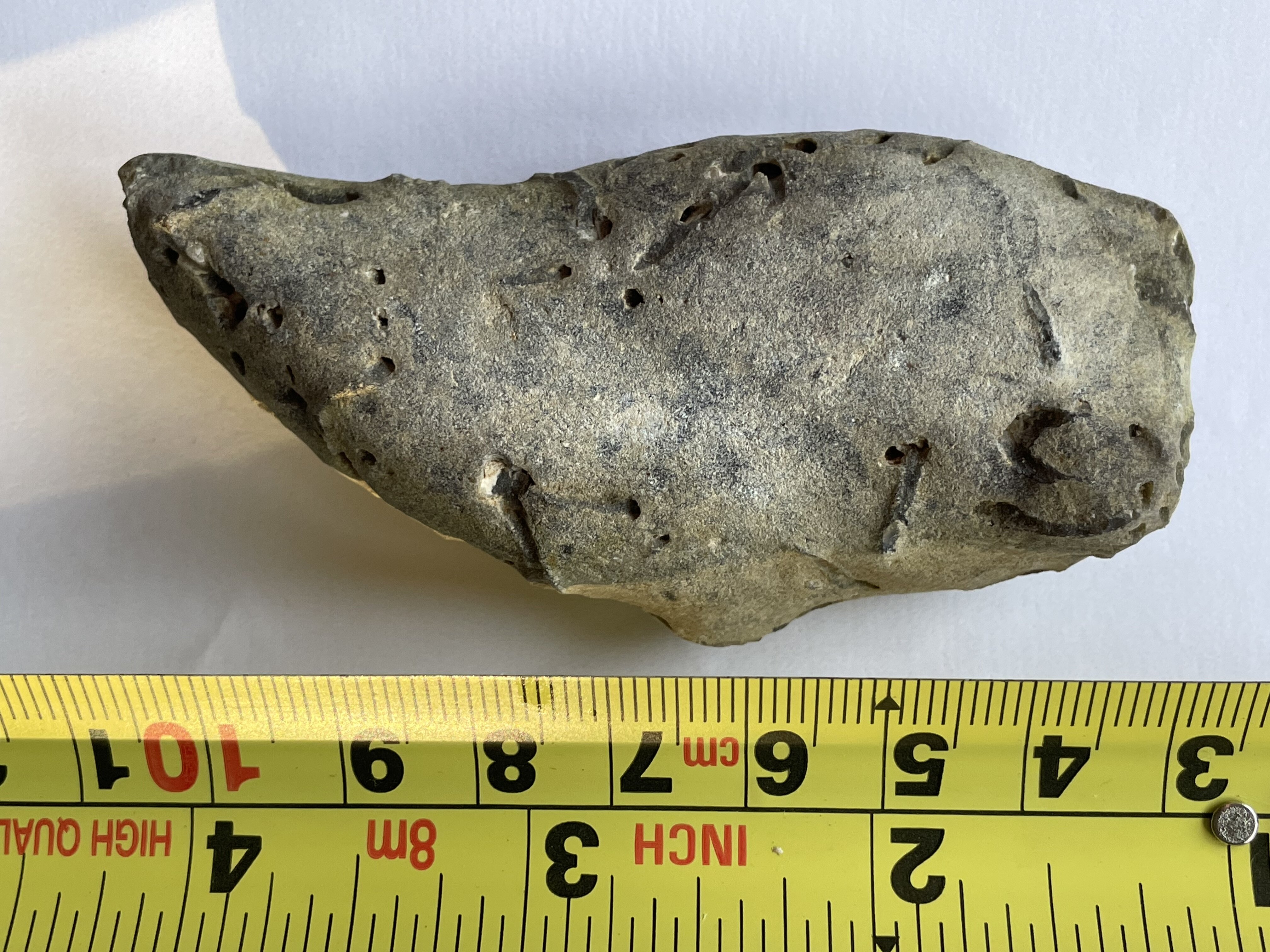 Fossilised (flint) crab claw? - Fossil ID - The Fossil Forum