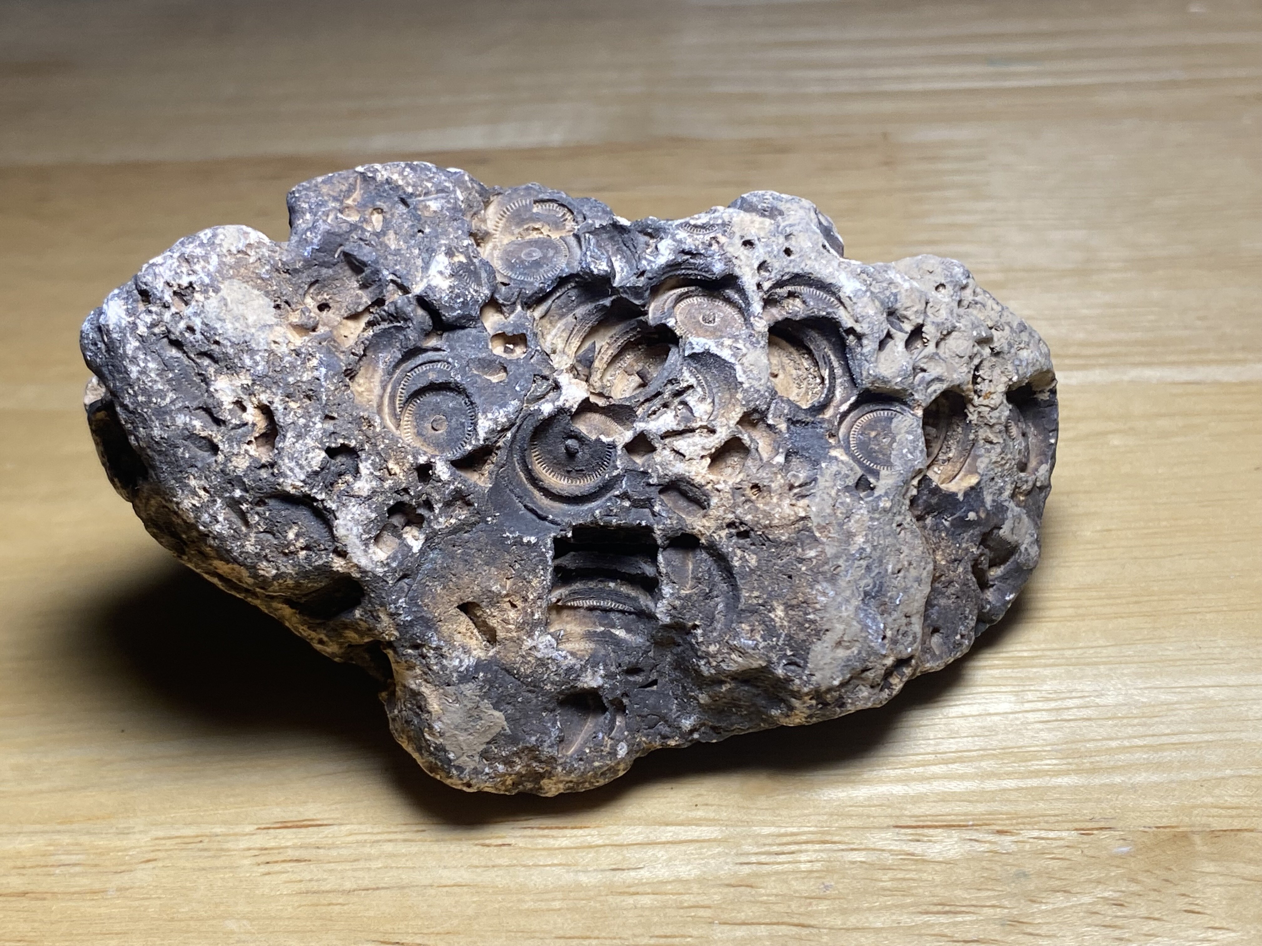 Weird probably man made markings on rock what made them? - Fossil ID ...