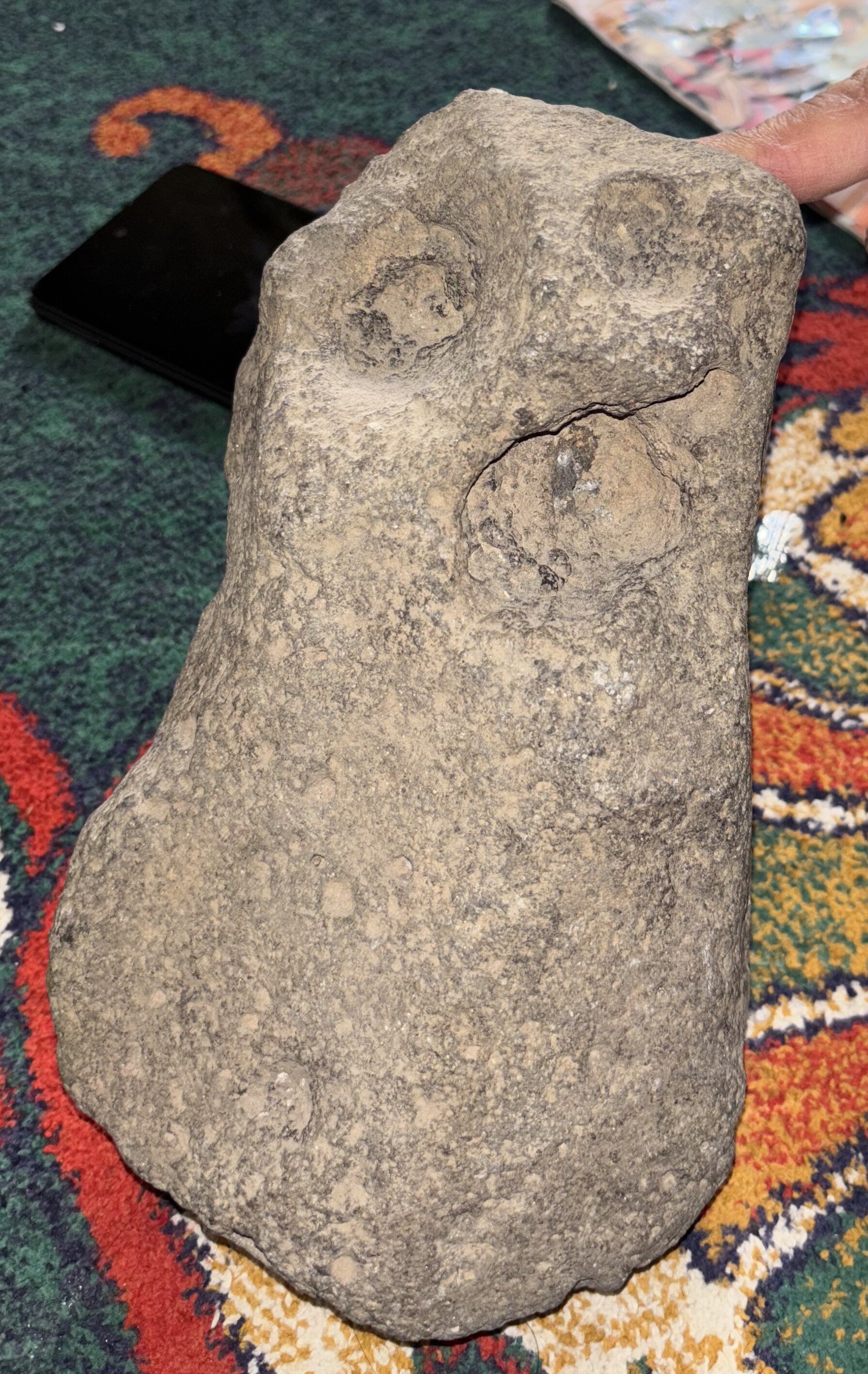 Looks like a face - Geologic or carved? - Rocks & Minerals - The Fossil ...