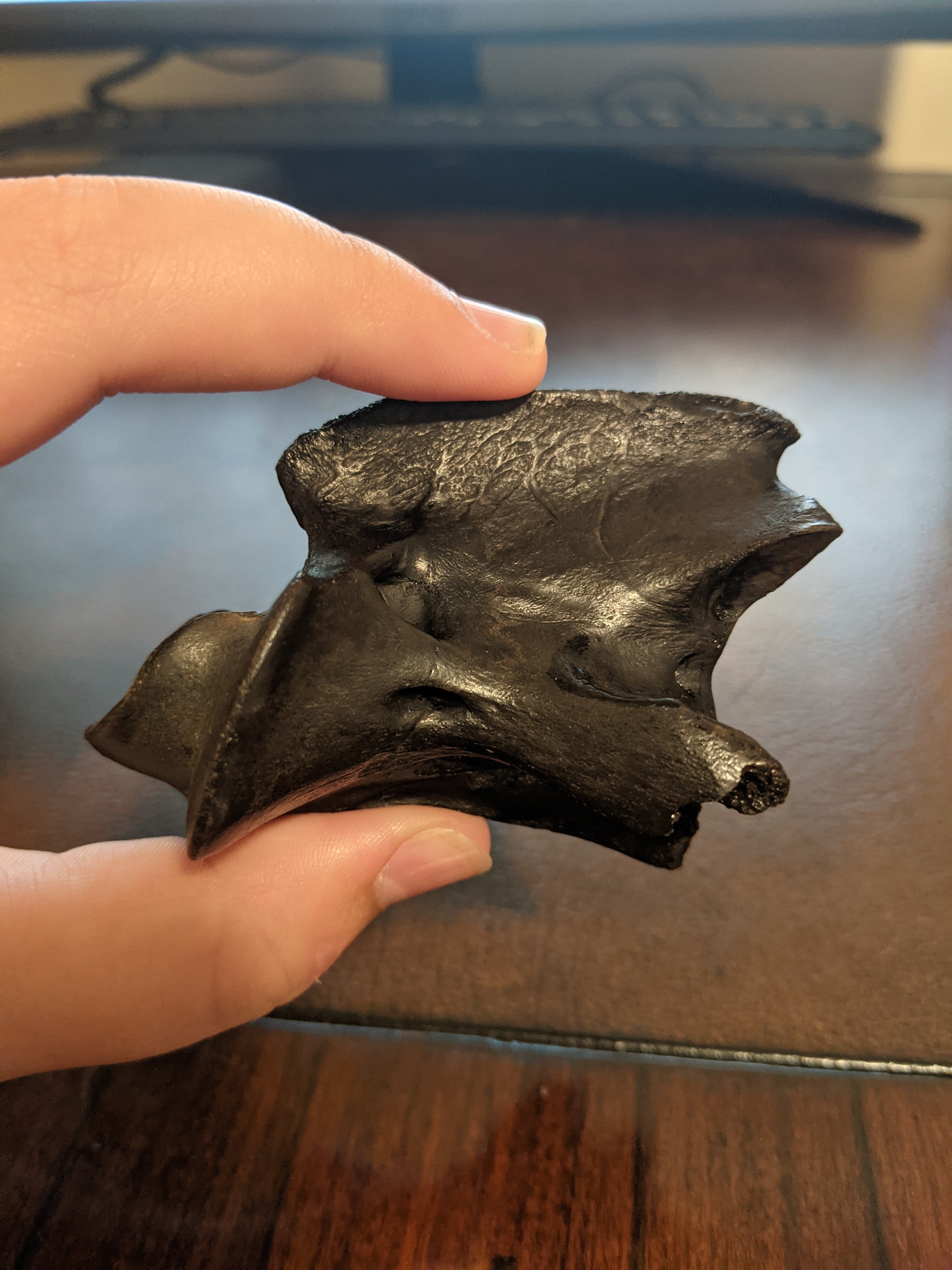 What could this vertebra be! - Fossil ID - The Fossil Forum