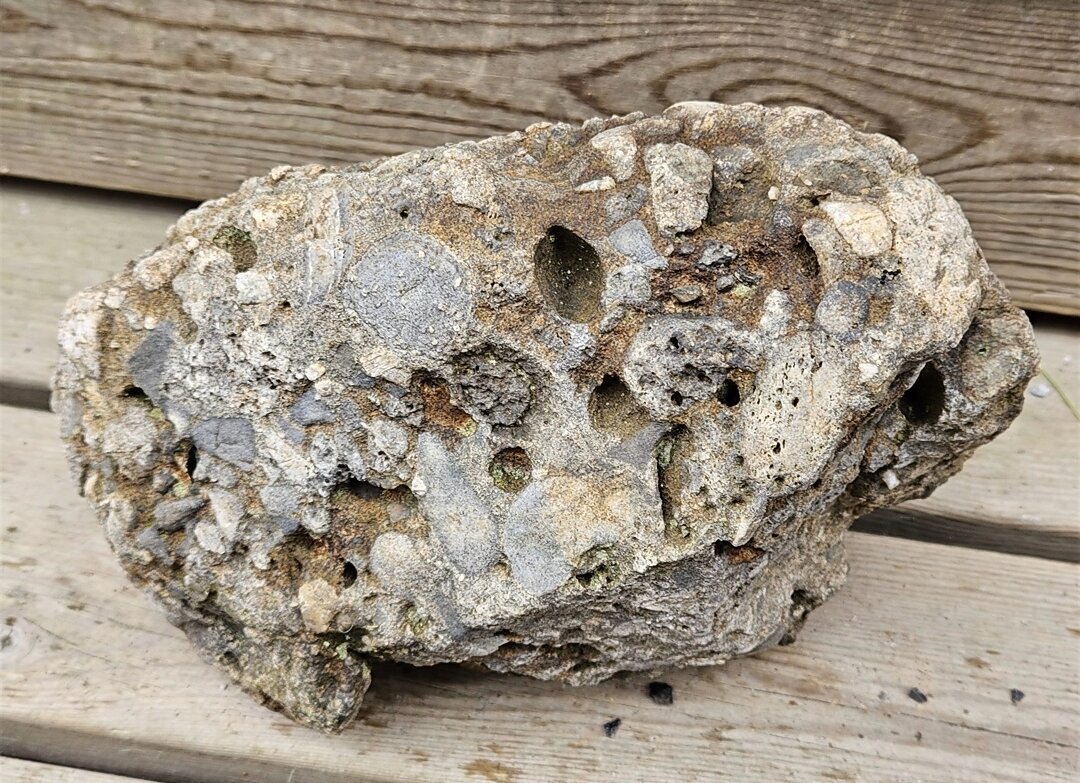 Volcanic fossil formation or something entirely different? - Fossil ID ...