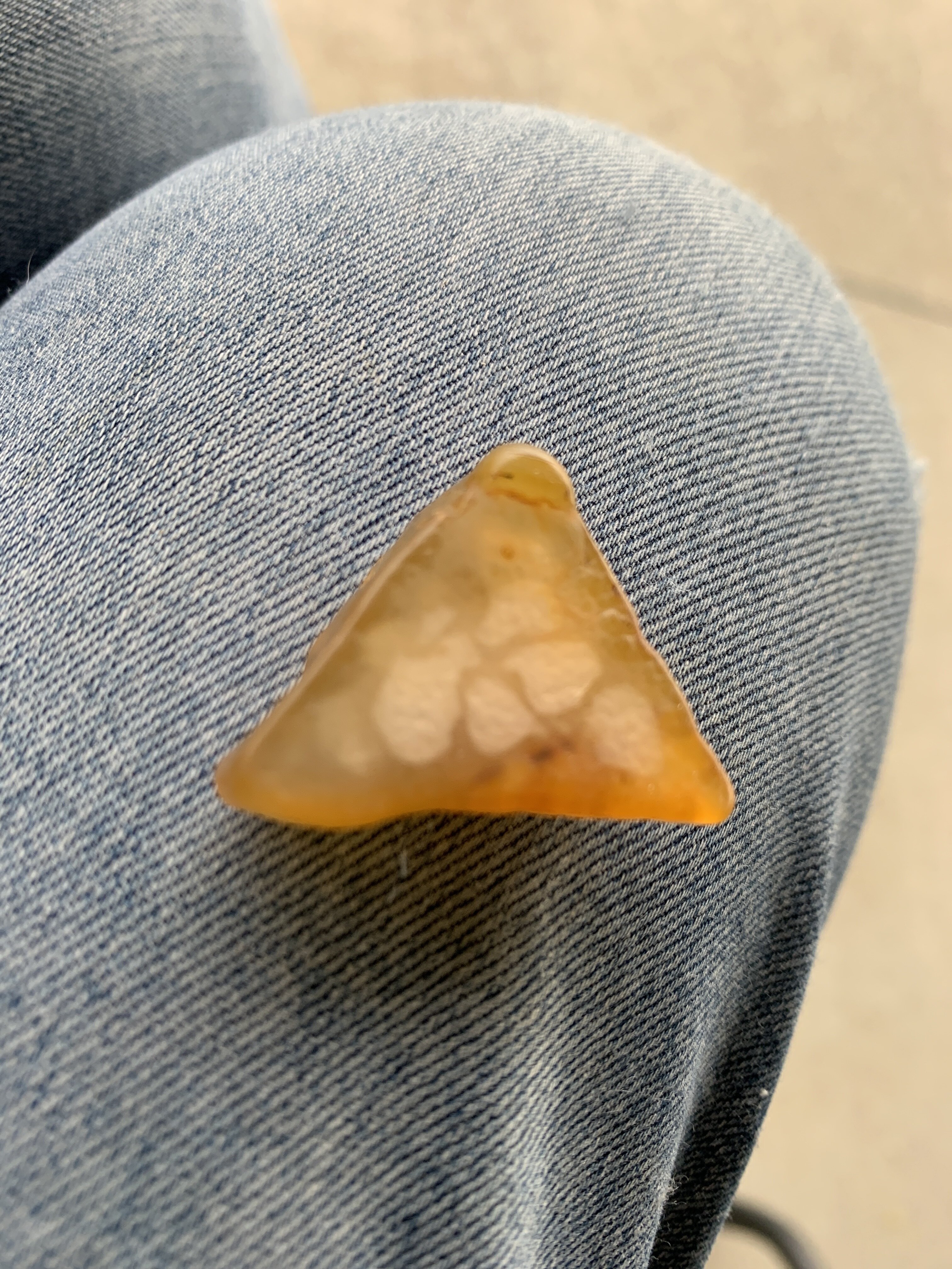 This is clear like amber - Fossil ID - The Fossil Forum