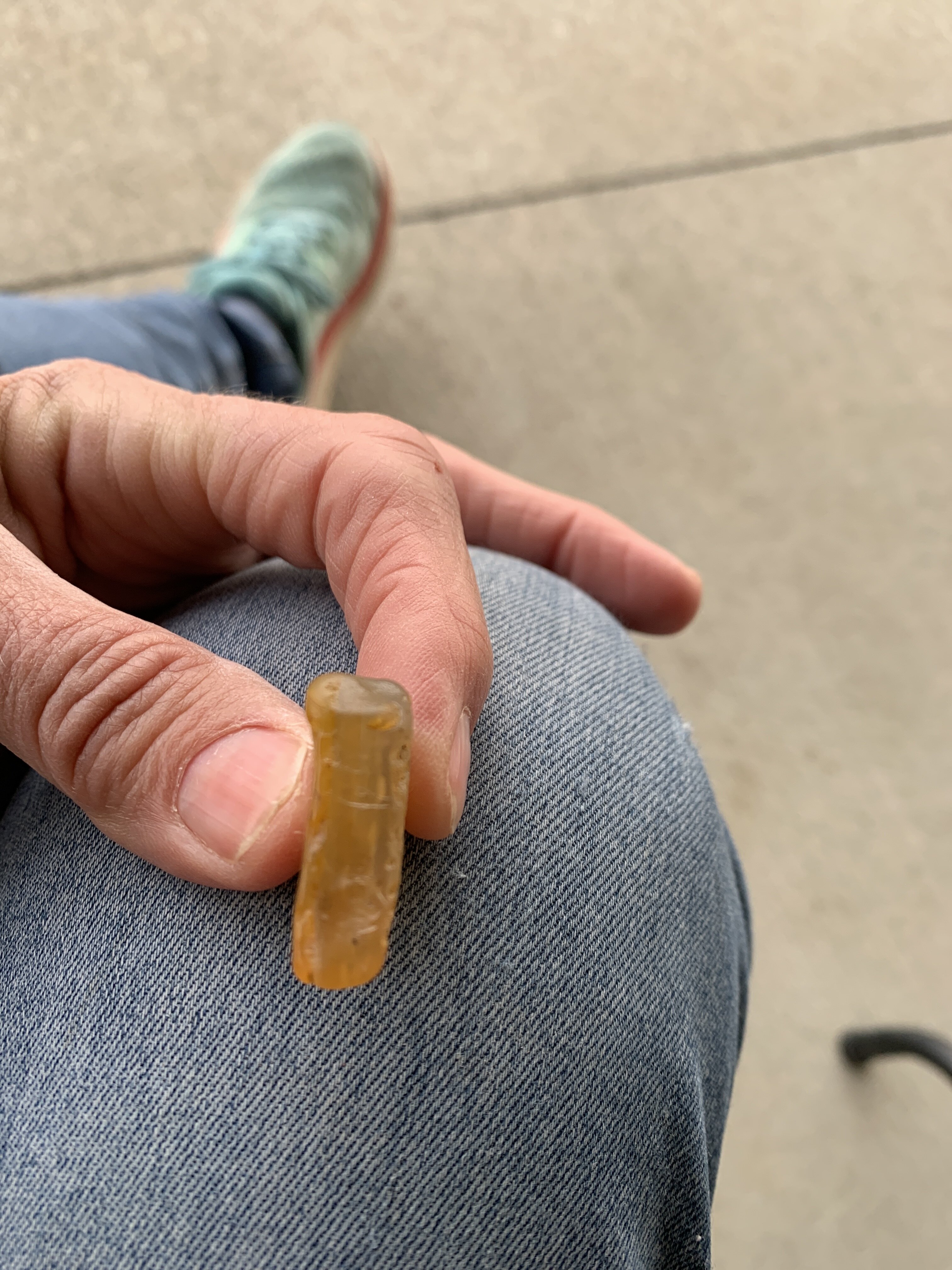 This is clear like amber - Fossil ID - The Fossil Forum