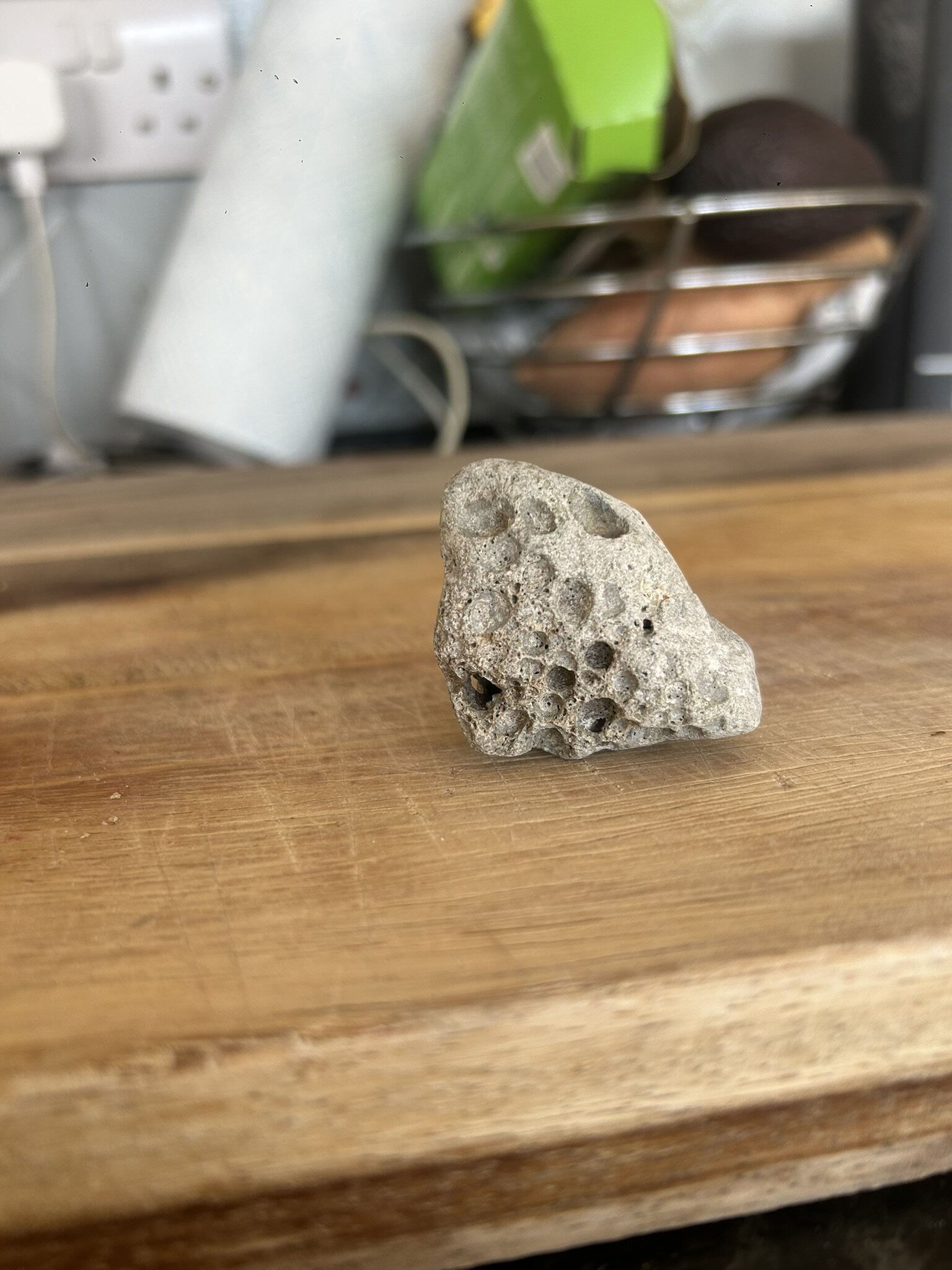 Help identifying fossil/rocks please - Fossil ID - The Fossil Forum