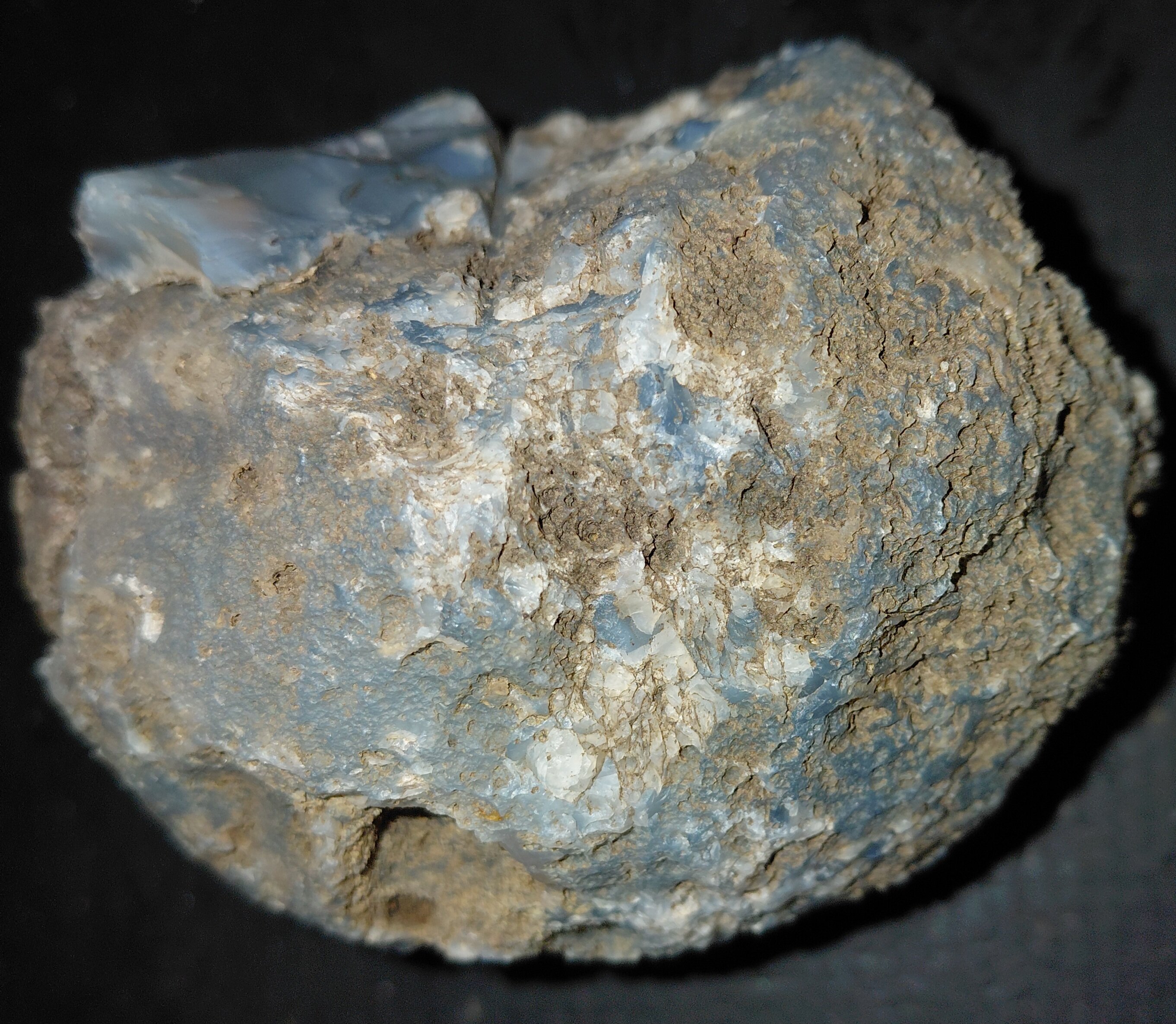 Fossilized Egg, Thunder Egg, Geode...??? - Fossil ID - The Fossil Forum