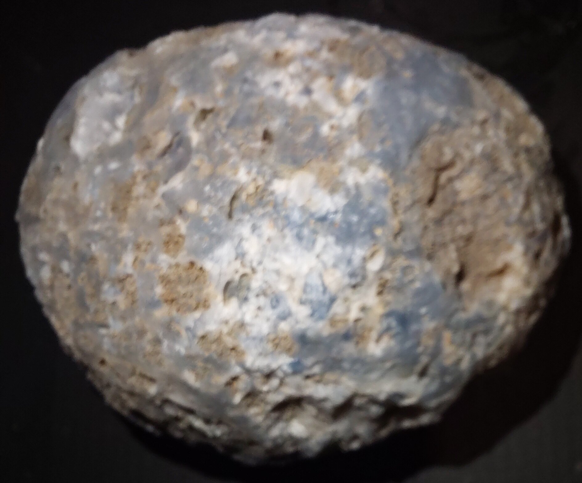 Fossilized Egg, Thunder Egg, Geode...??? - Fossil ID - The Fossil Forum