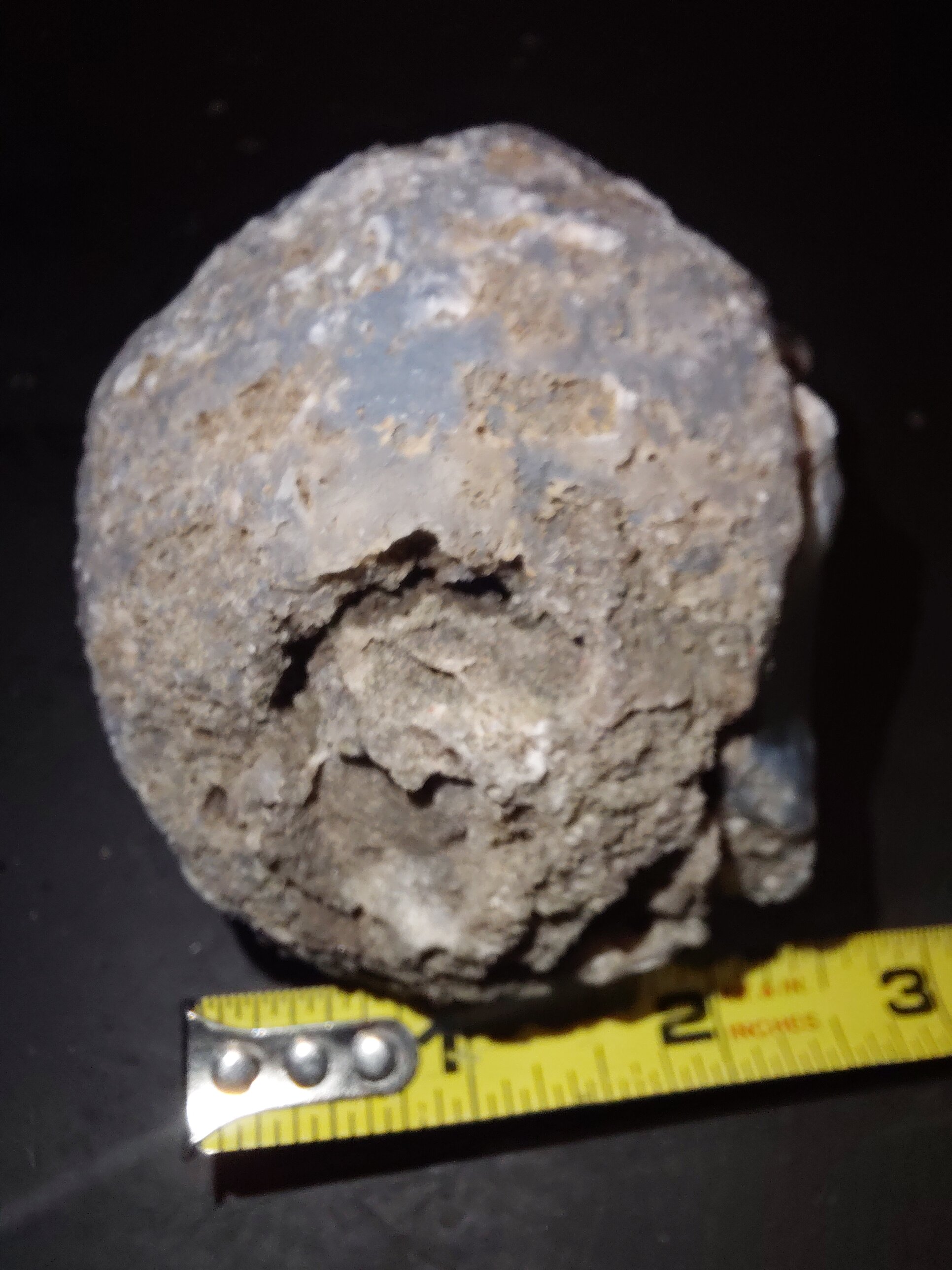 Fossilized Egg, Thunder Egg, Geode...??? - Fossil ID - The Fossil Forum
