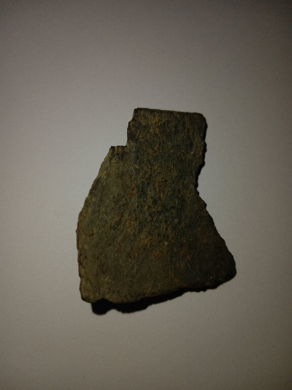 Possible Dendroid graptolite? - Fossil ID - The Fossil Forum
