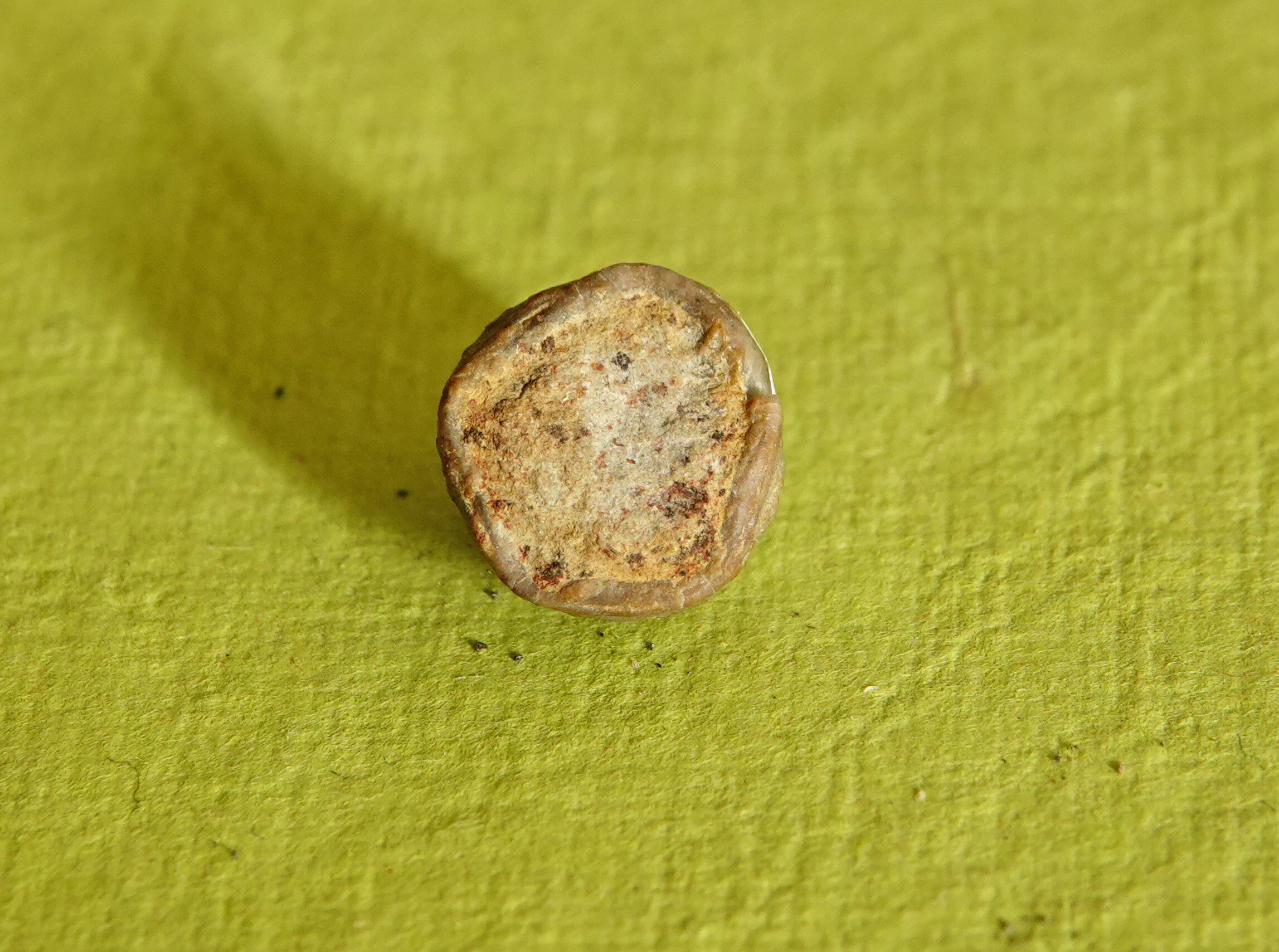 Identification - Crinoid Calyx? Blastoid? Cystoid? - Fossil ID - The ...