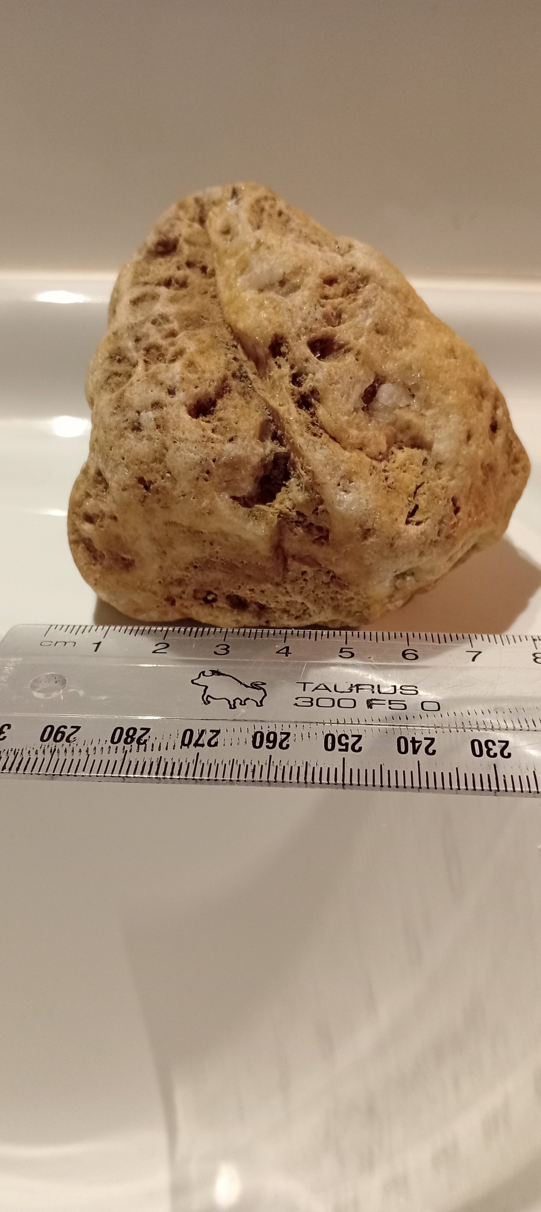 ID Fossilized/Mineralized/calcified quartz Skull? - Fossil ID - The ...