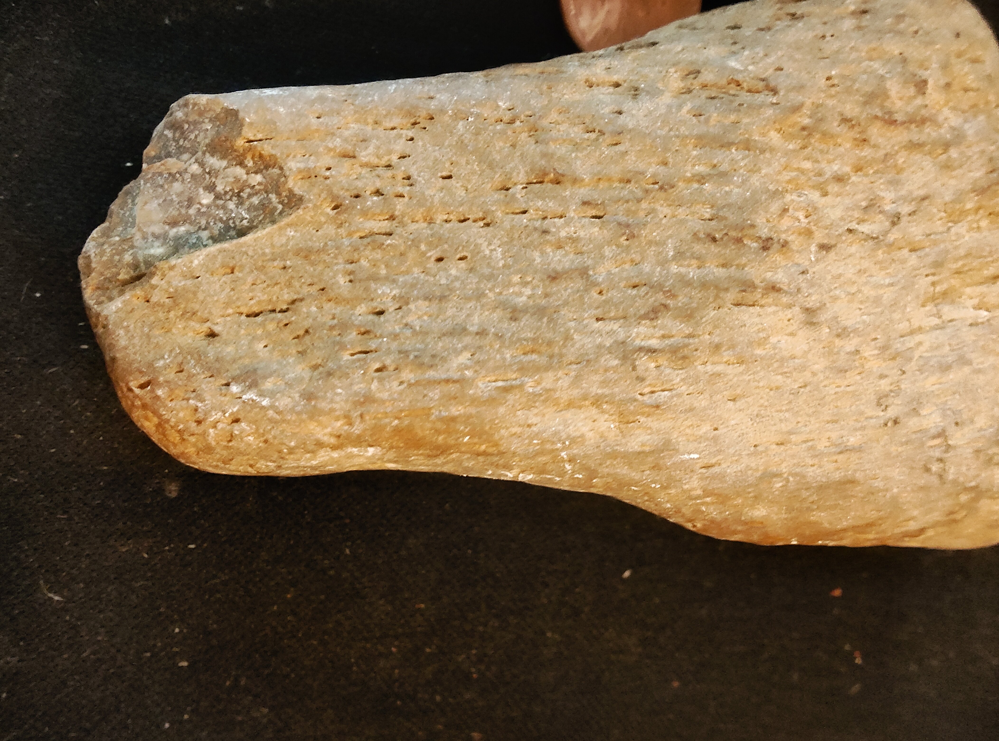 Are these Shark's teeth and a bone or just rocks? - Fossil ID - The ...