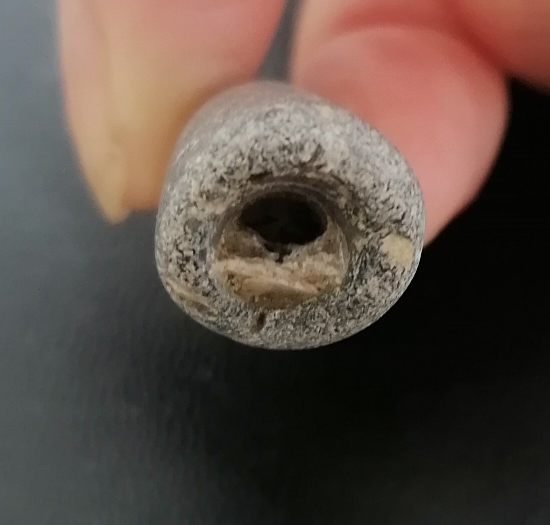 Stone Tooth - Fossil ID - The Fossil Forum