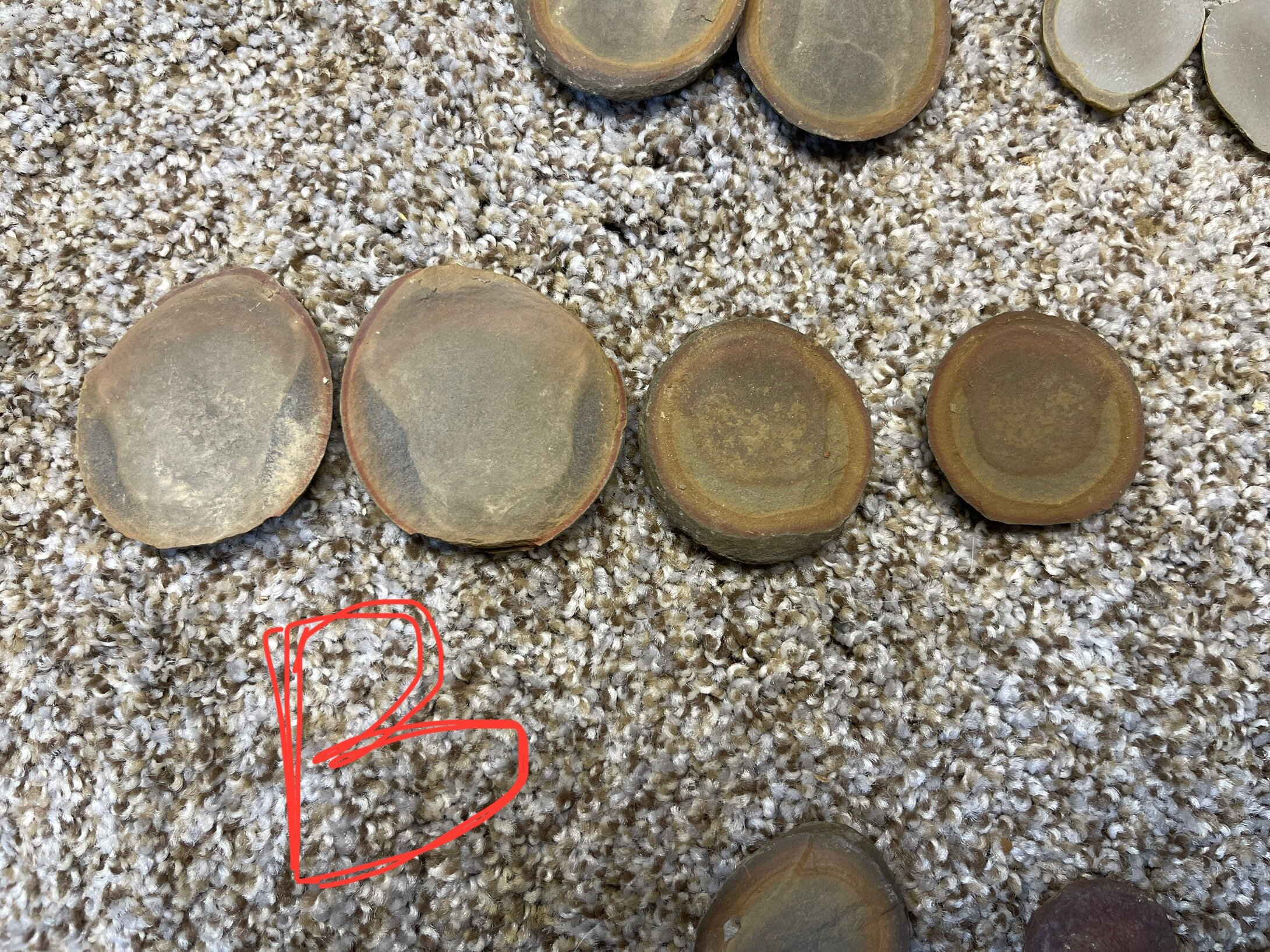 My First Mazon Creek Trip - Fossil ID - The Fossil Forum