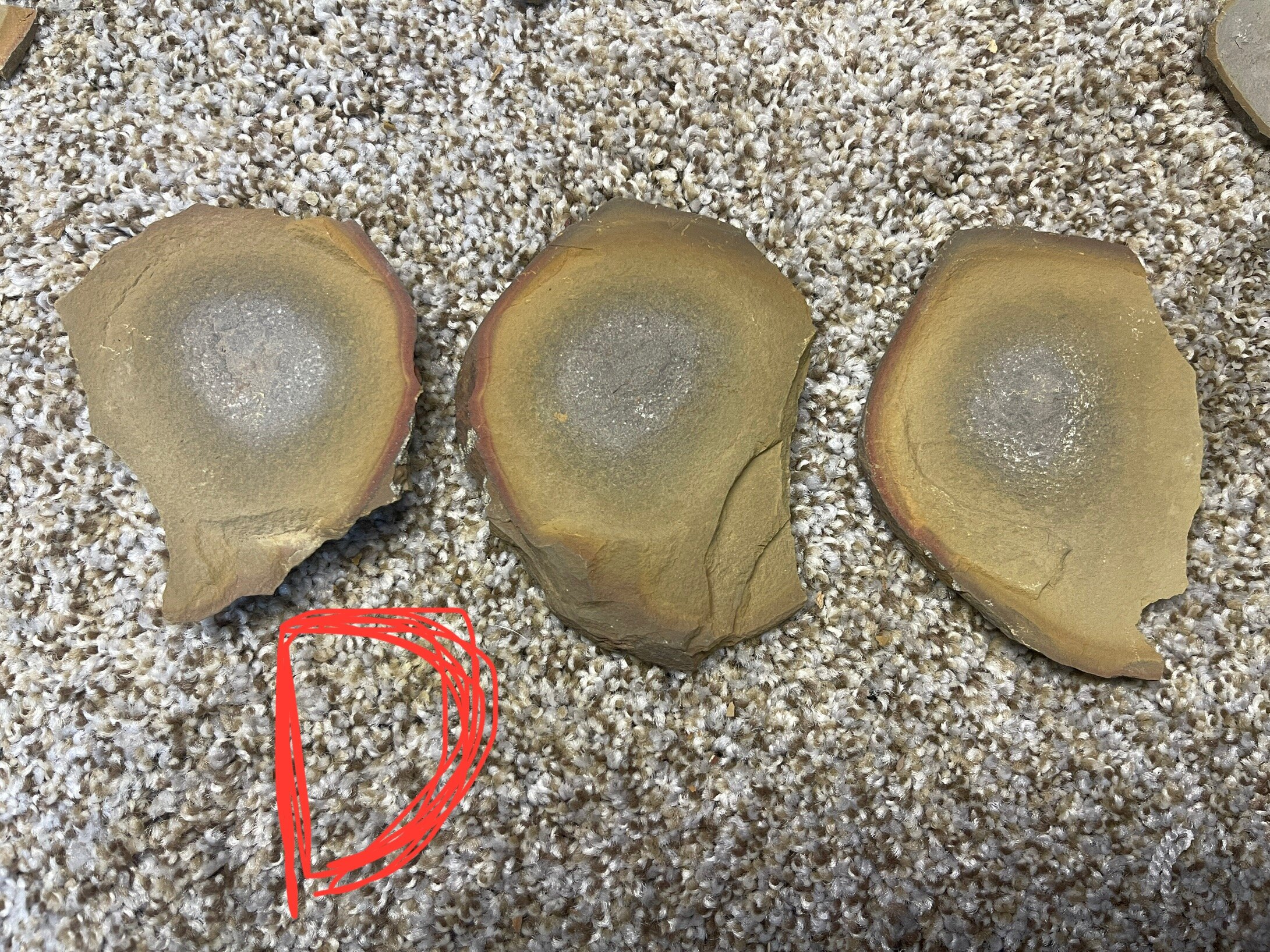 My First Mazon Creek Trip - Fossil ID - The Fossil Forum