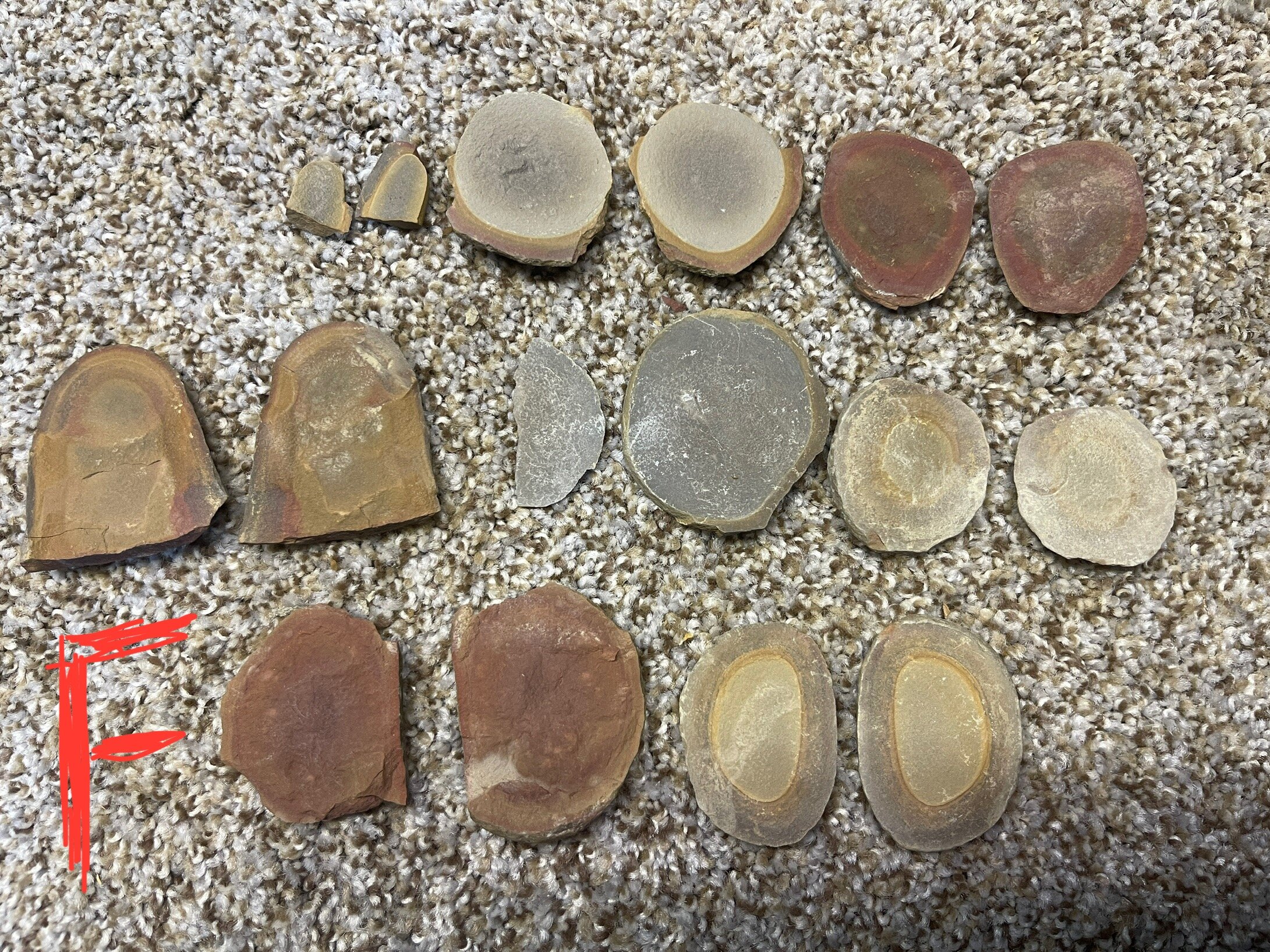 My First Mazon Creek Trip - Fossil ID - The Fossil Forum