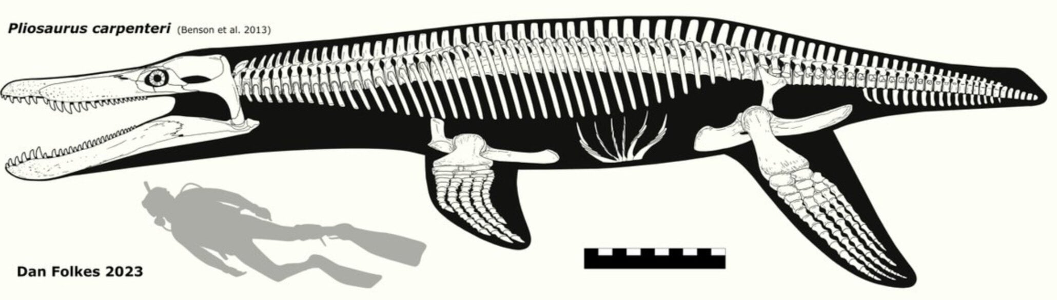 How paleoart/paleontology can evolve with AI ? - Paleo Re-creations ...