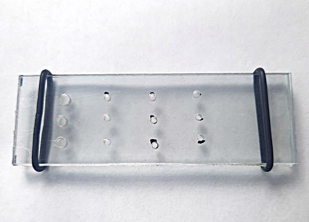 Microfossils slides - Micro-paleontology - The Fossil Forum