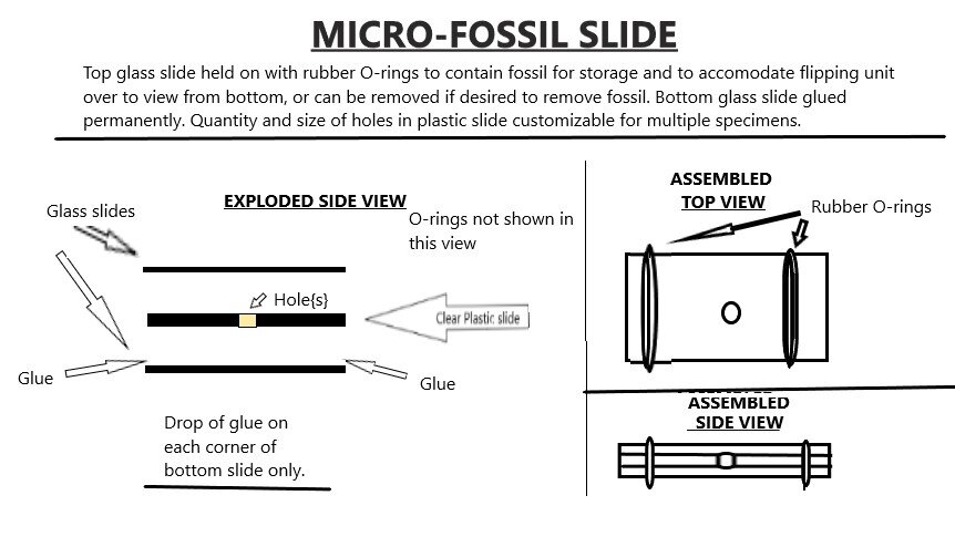 Microfossils slides - Micro-paleontology - The Fossil Forum