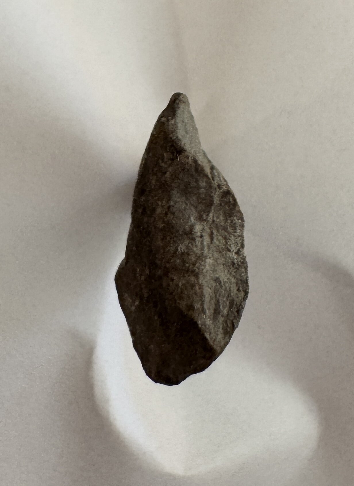 Tooth or rock? - Fossil ID - The Fossil Forum