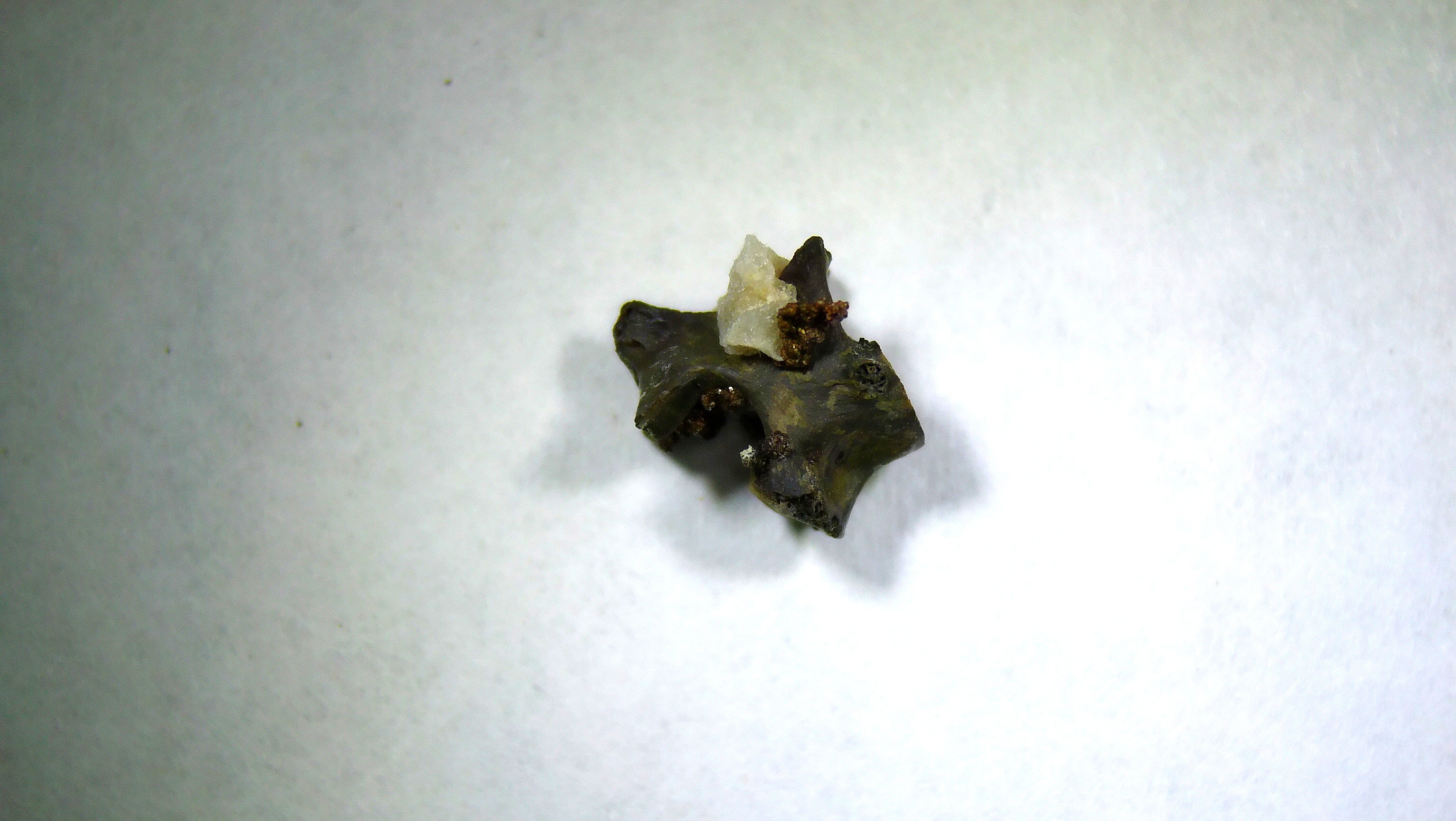 Oklahoma matrix - Fossil Preparation - The Fossil Forum
