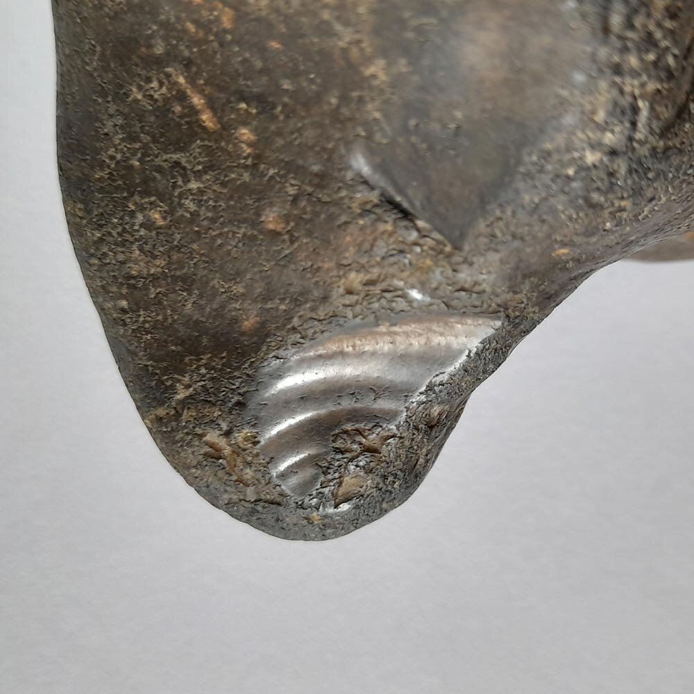 Could these marks on the flint be shell impressions? - Rocks & Minerals ...