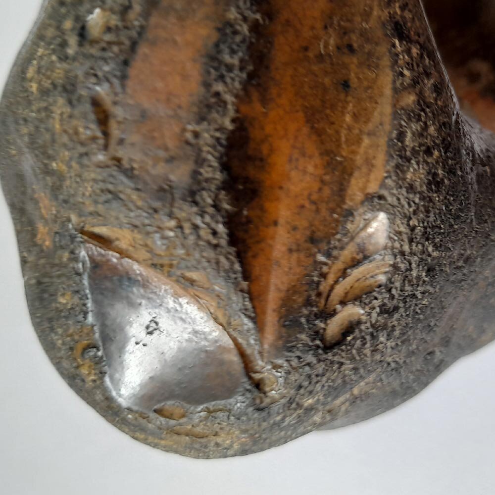 Could these marks on the flint be shell impressions? - Rocks & Minerals ...