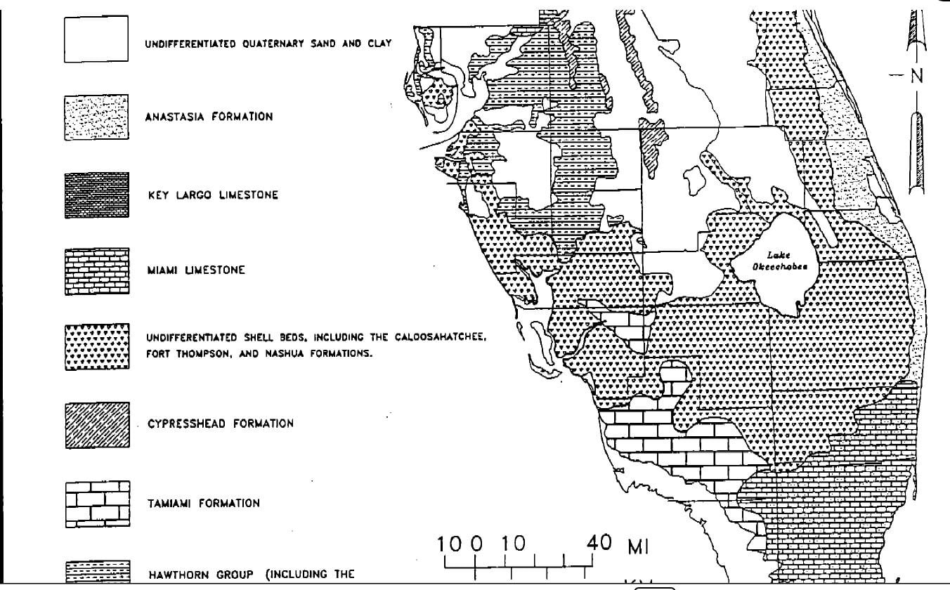 Fossil Formations of Florida - Questions & Answers - The Fossil Forum