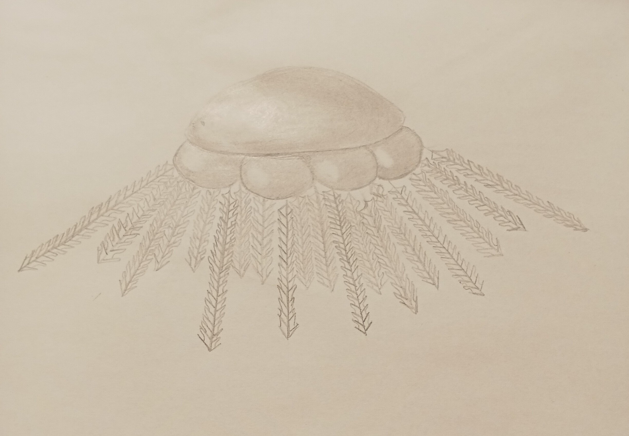 Archaeocyath's Paleoart - Paleo Re-creations - The Fossil Forum