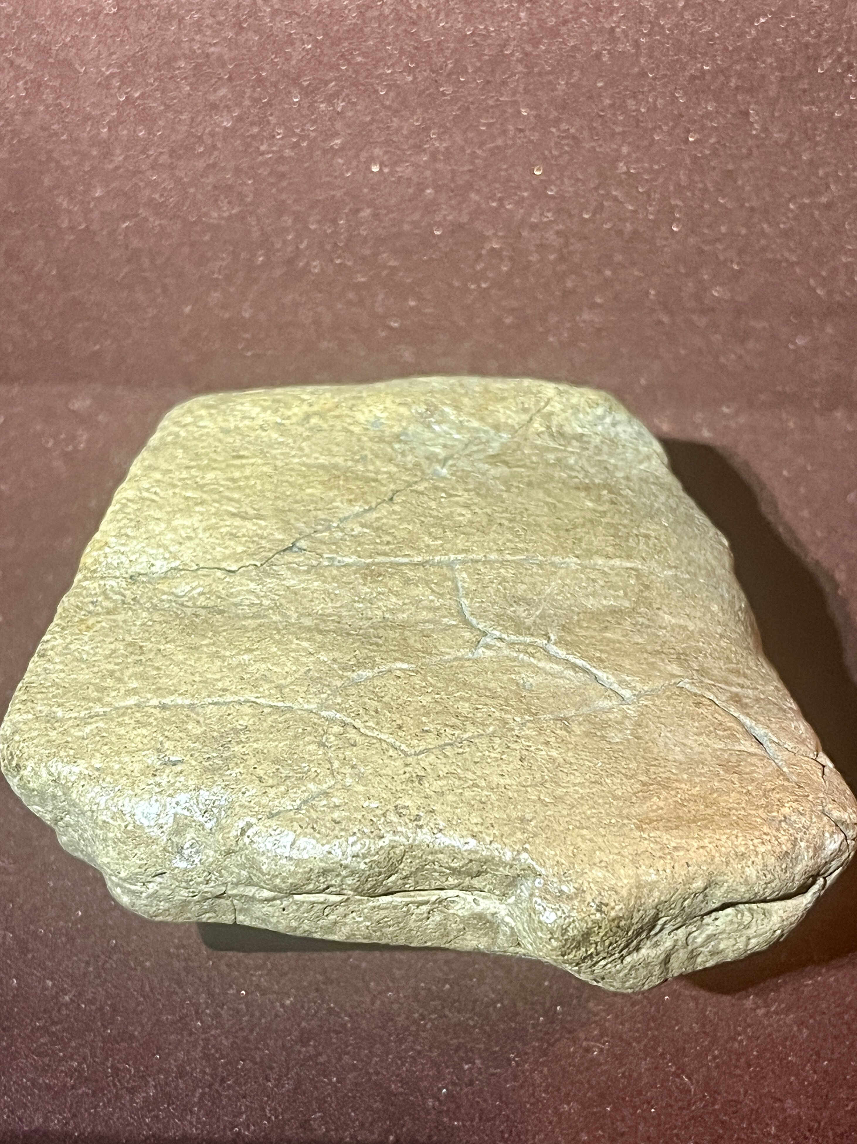 66Mya Armor from Lance Formation, Wy - Member Collections - The Fossil ...
