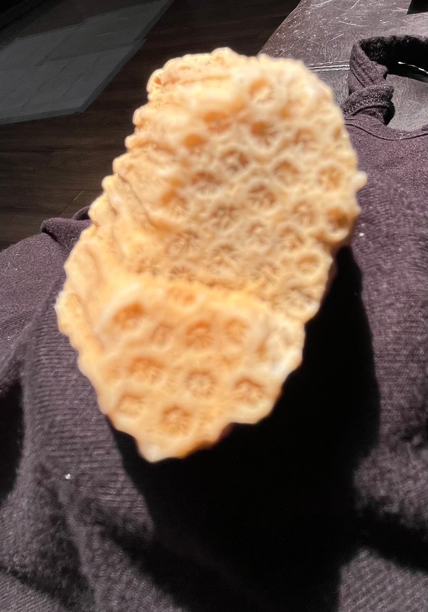 Coral fossil? - Fossil ID - The Fossil Forum