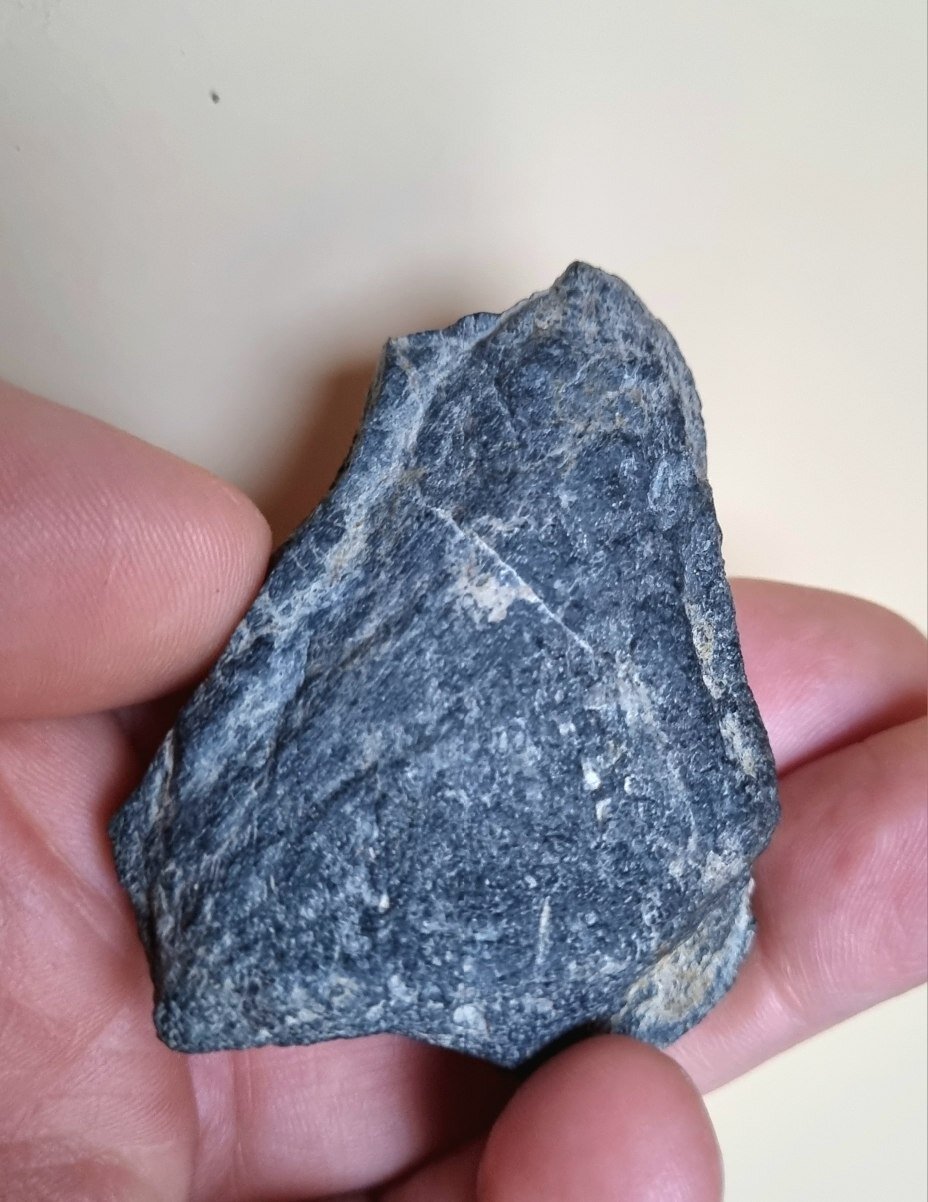 Possible Armour ? - Fossil ID - The Fossil Forum
