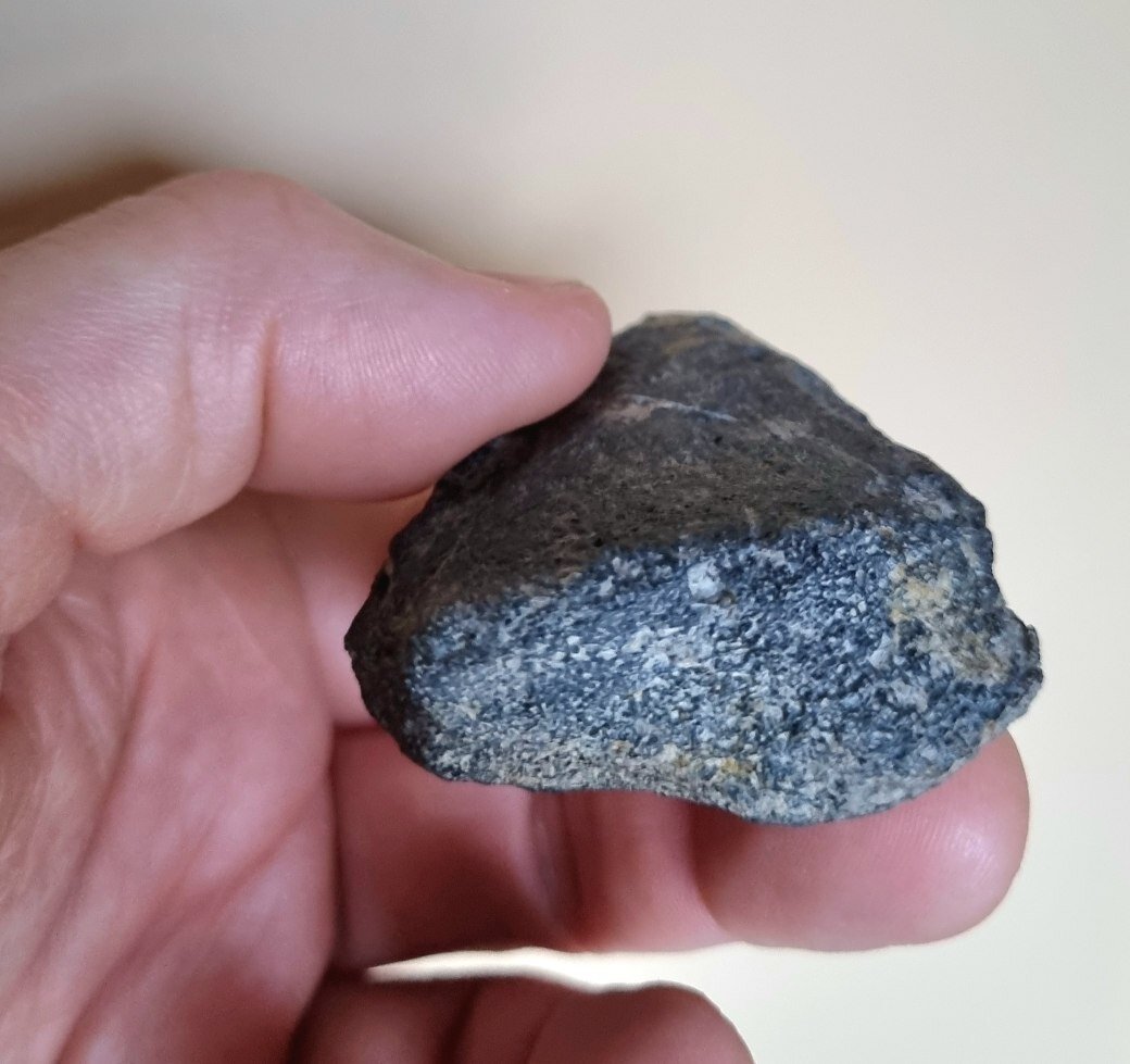 Possible Armour ? - Fossil ID - The Fossil Forum