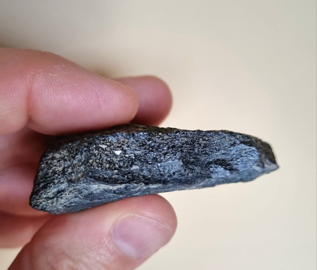 Possible Armour ? - Fossil ID - The Fossil Forum