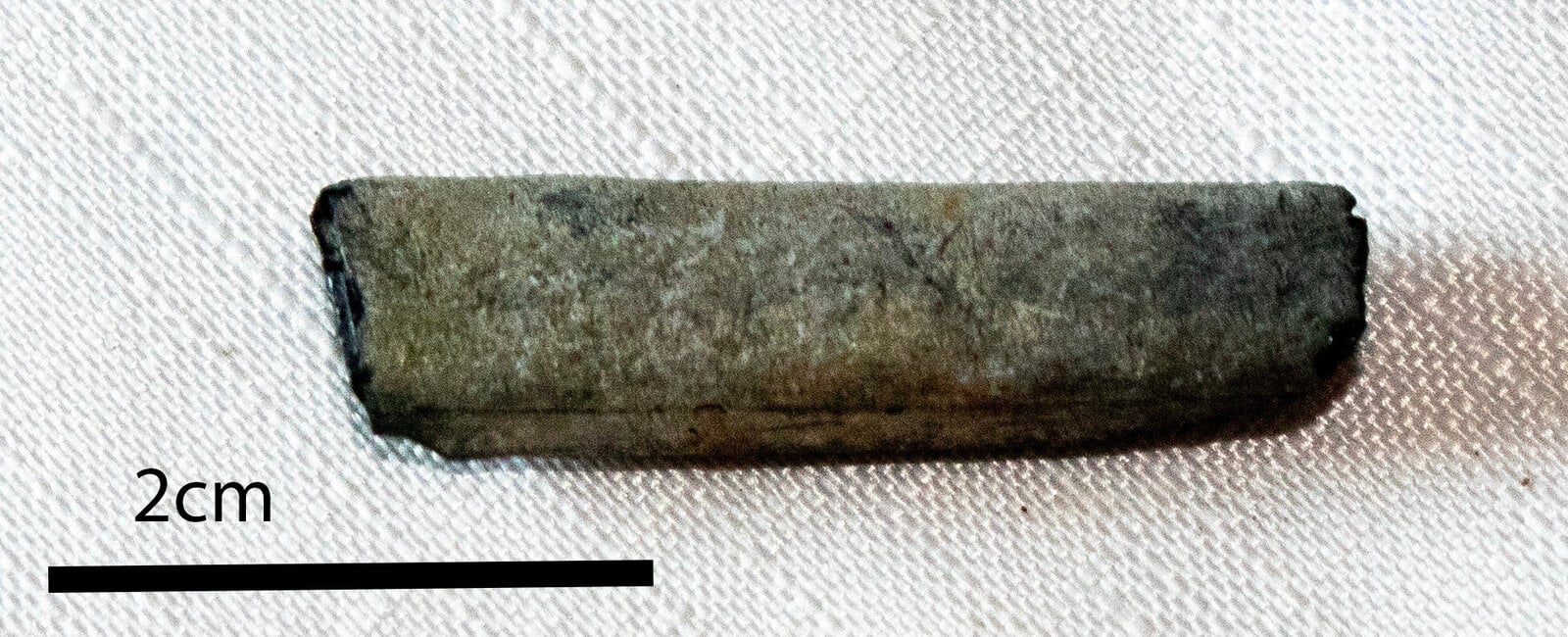 Small bone fragment - side 2 - Member Collections - The Fossil Forum