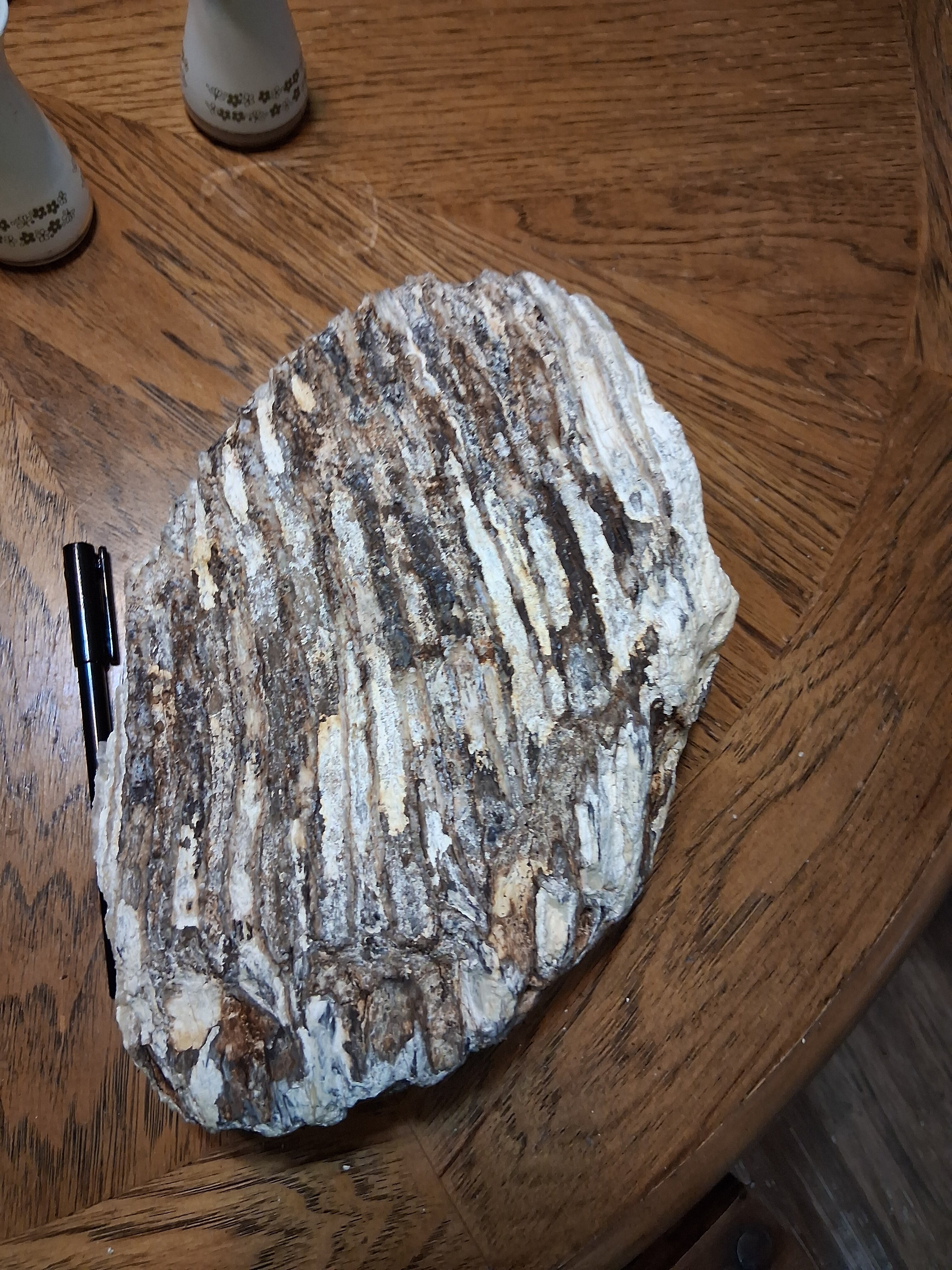 Mammoth tooth?? - Fossil ID - The Fossil Forum