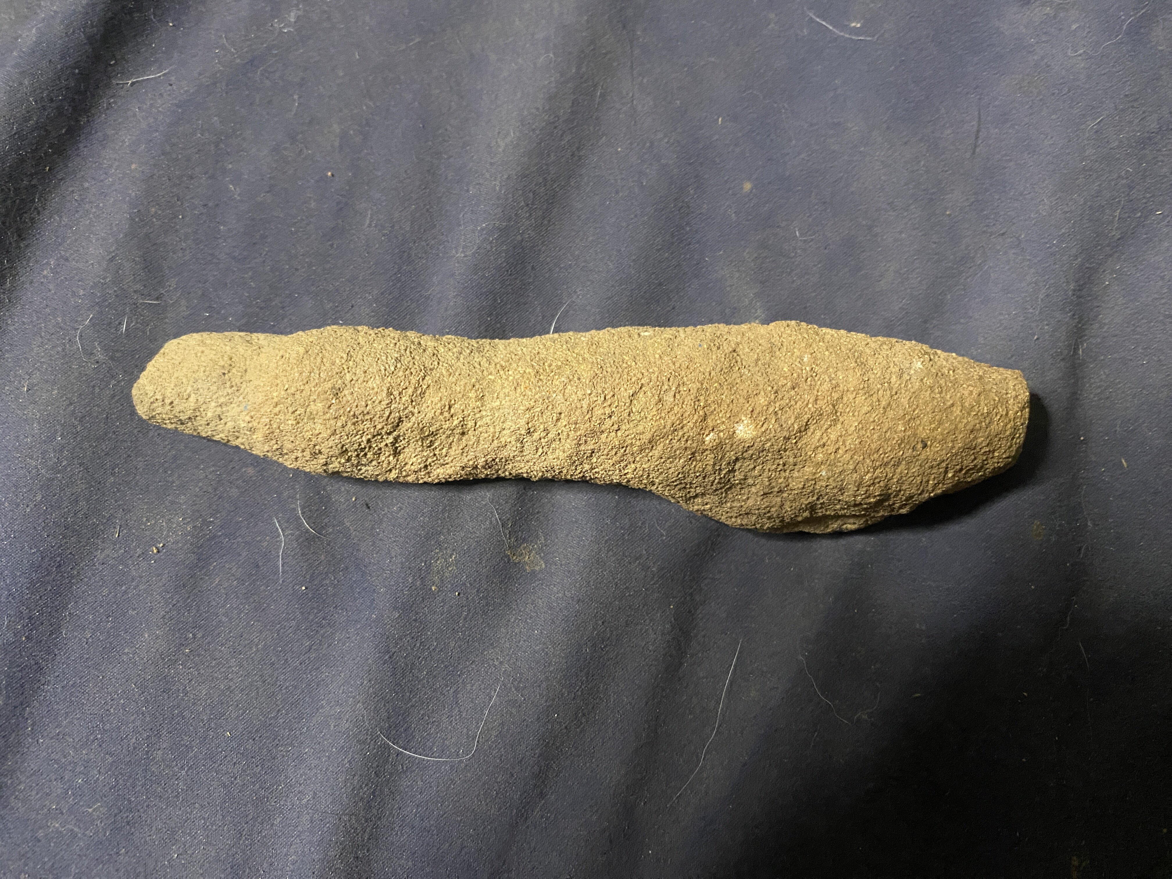 Fossil or Native American Tool? - Fossil ID - The Fossil Forum