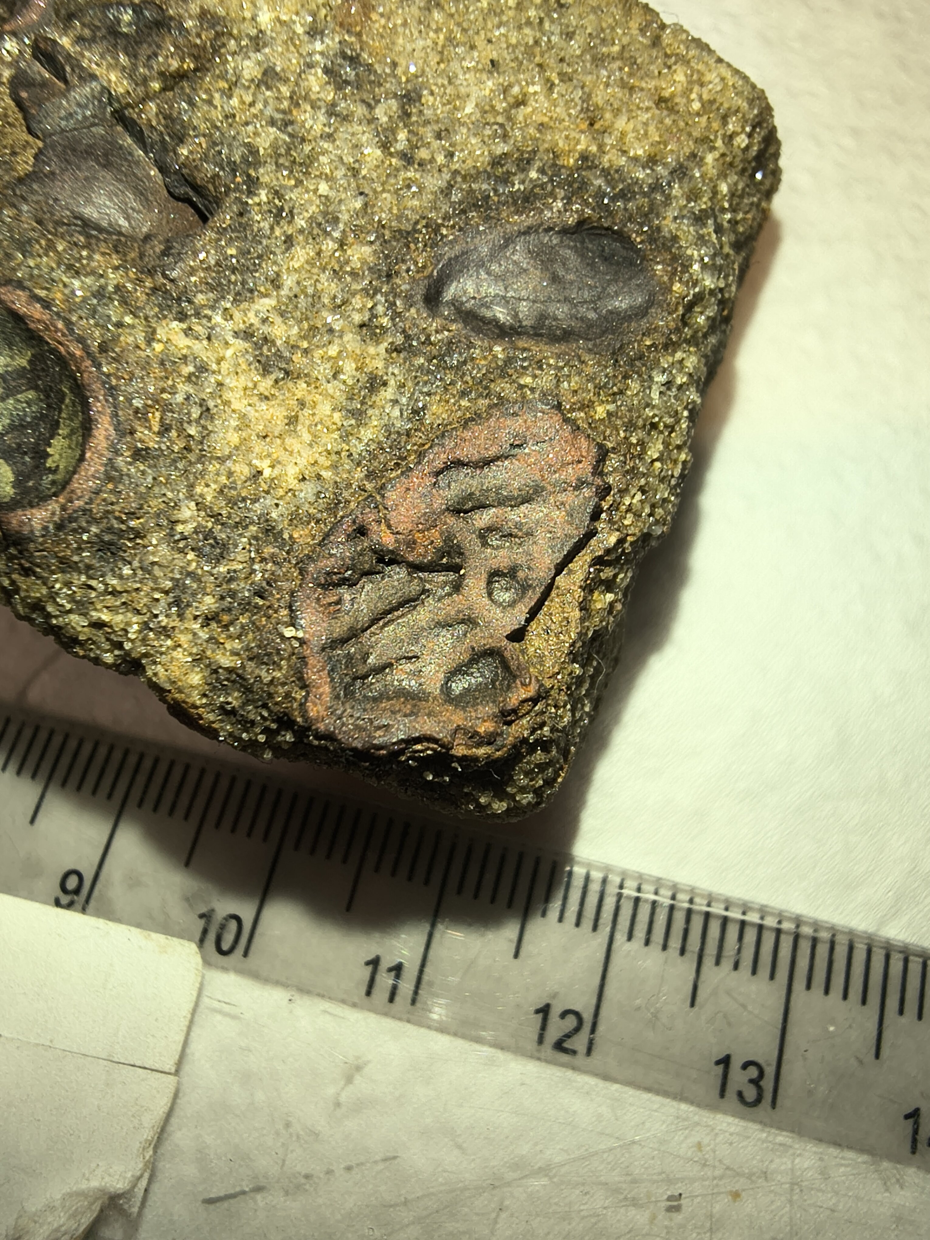 Odd River Rock Pile Find - Fossil ID - The Fossil Forum