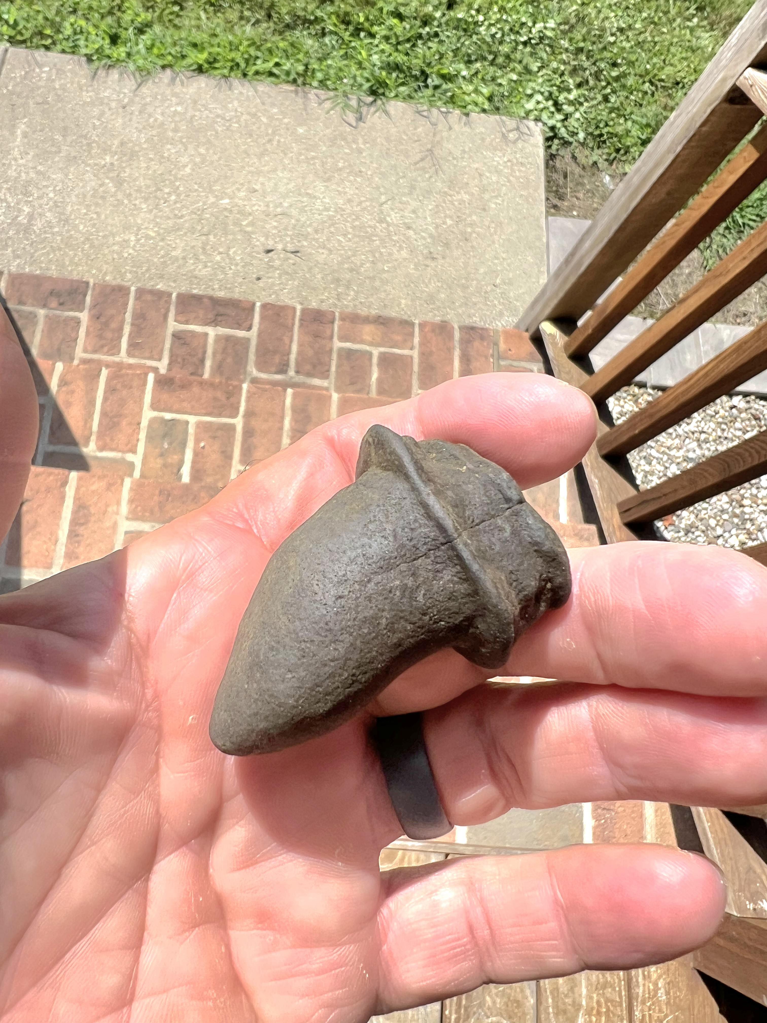 Please help with this odd fossil - Fossil ID - The Fossil Forum