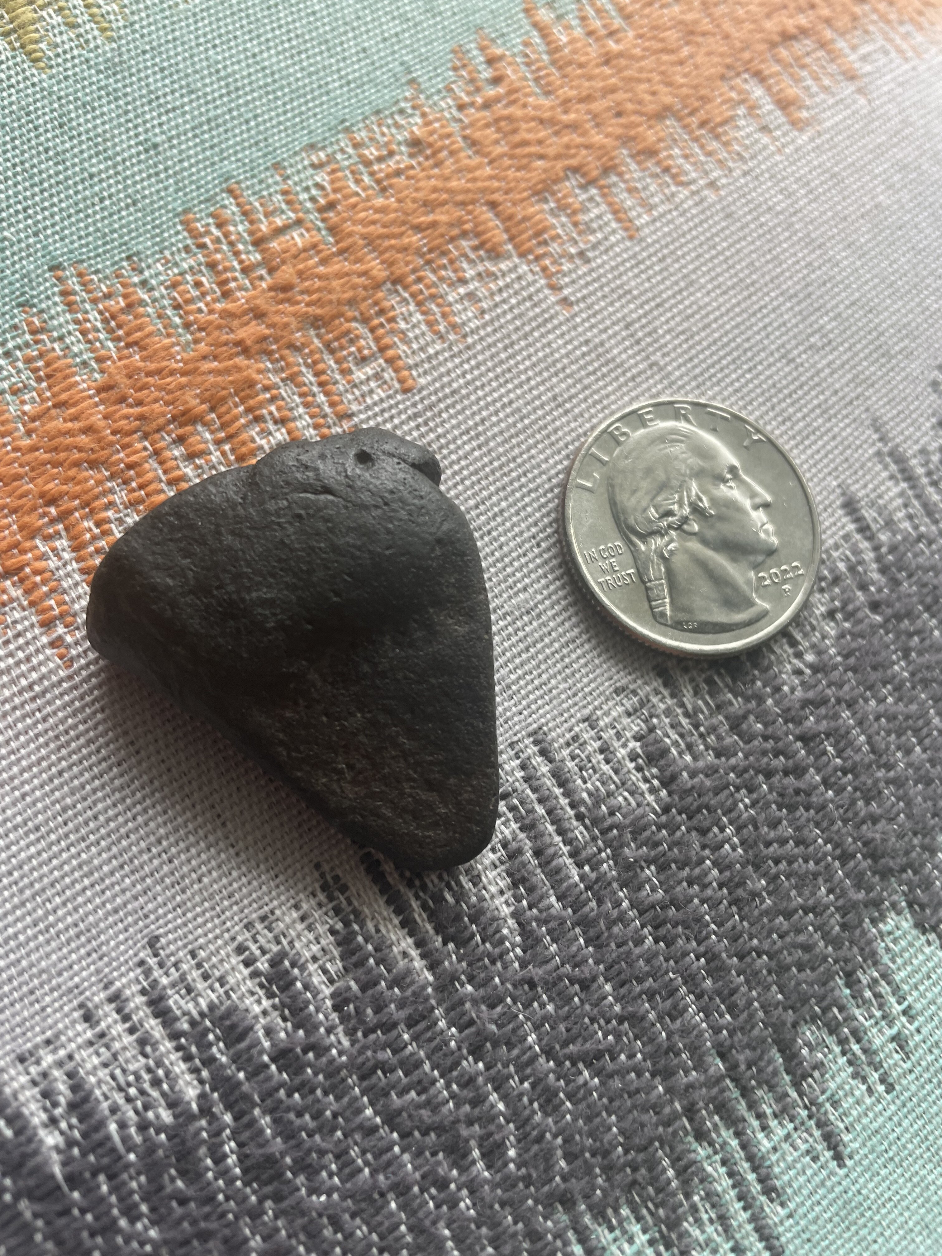 Fossilized, sharks tooth or a stone?? - Fossil ID - The Fossil Forum