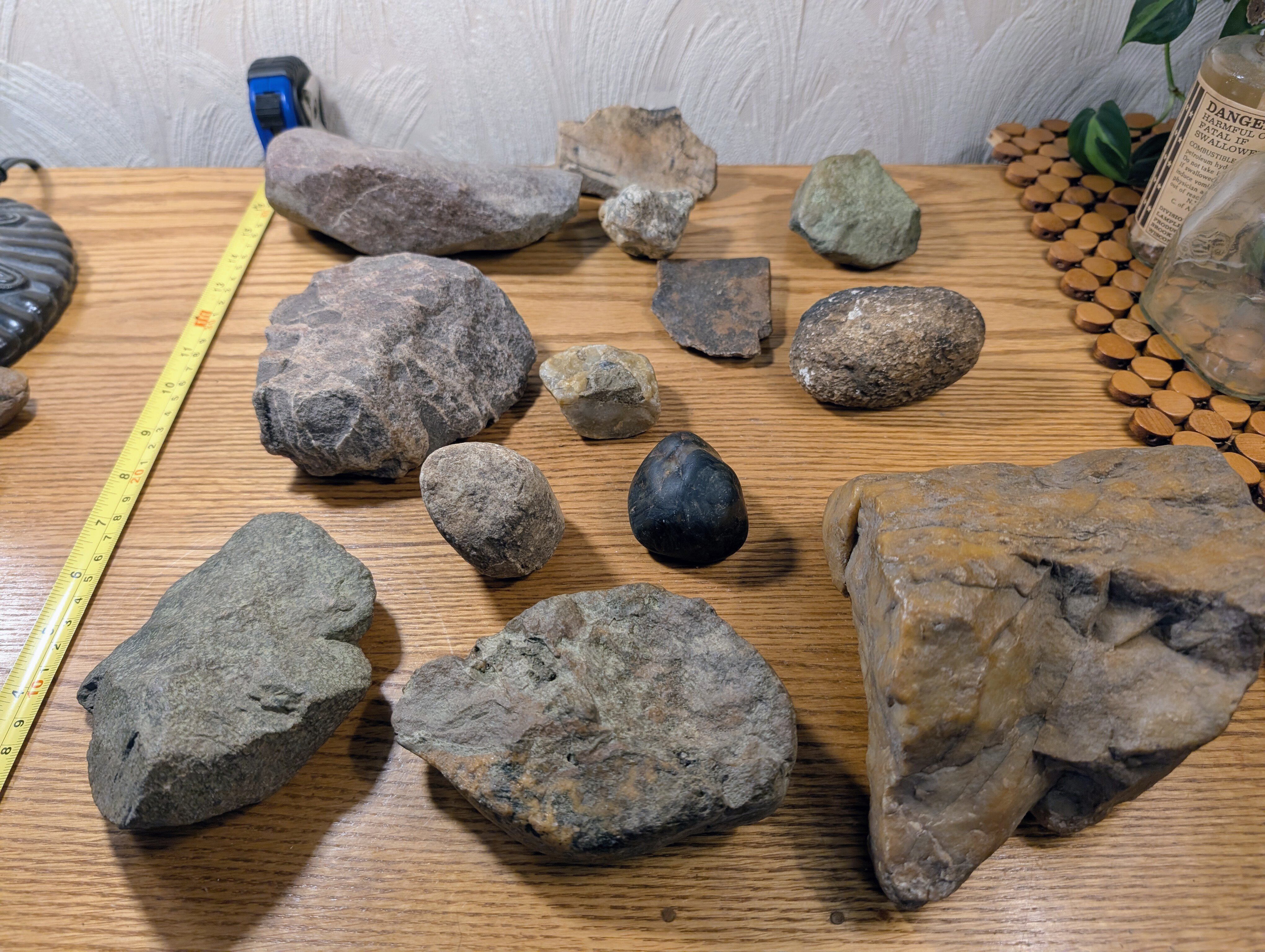Are there any fossils here? - Fossil ID - The Fossil Forum