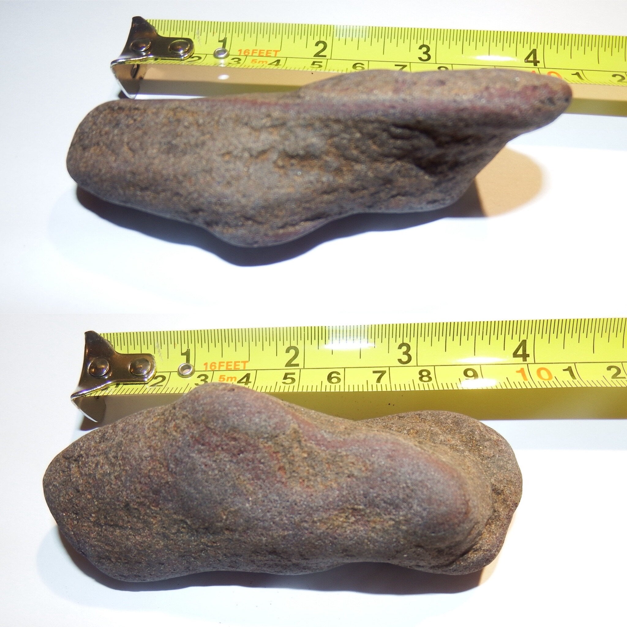 Isle of Wight Dinosaur Coast - Fossil ID - The Fossil Forum