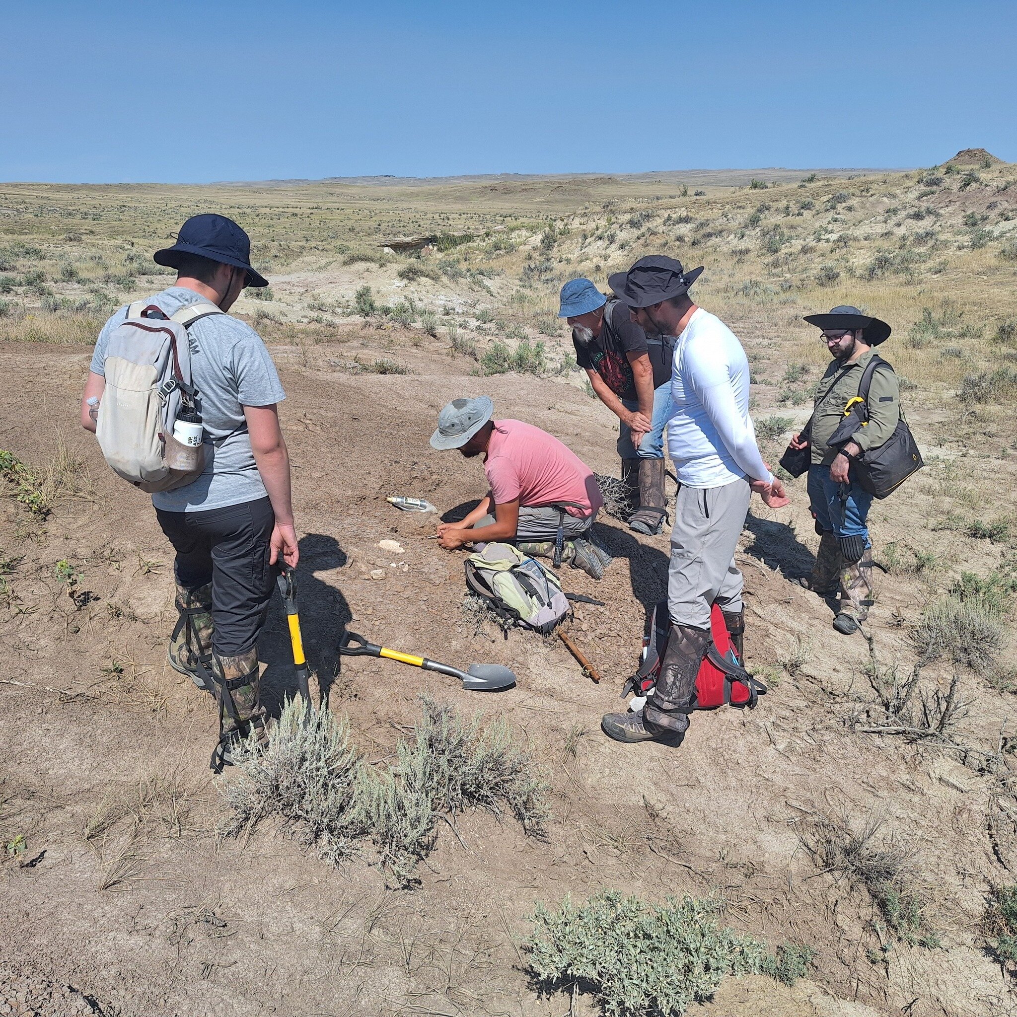 Wyoming 2025, volunteering at the Oertijdmuseum expedition. - Fossil ...
