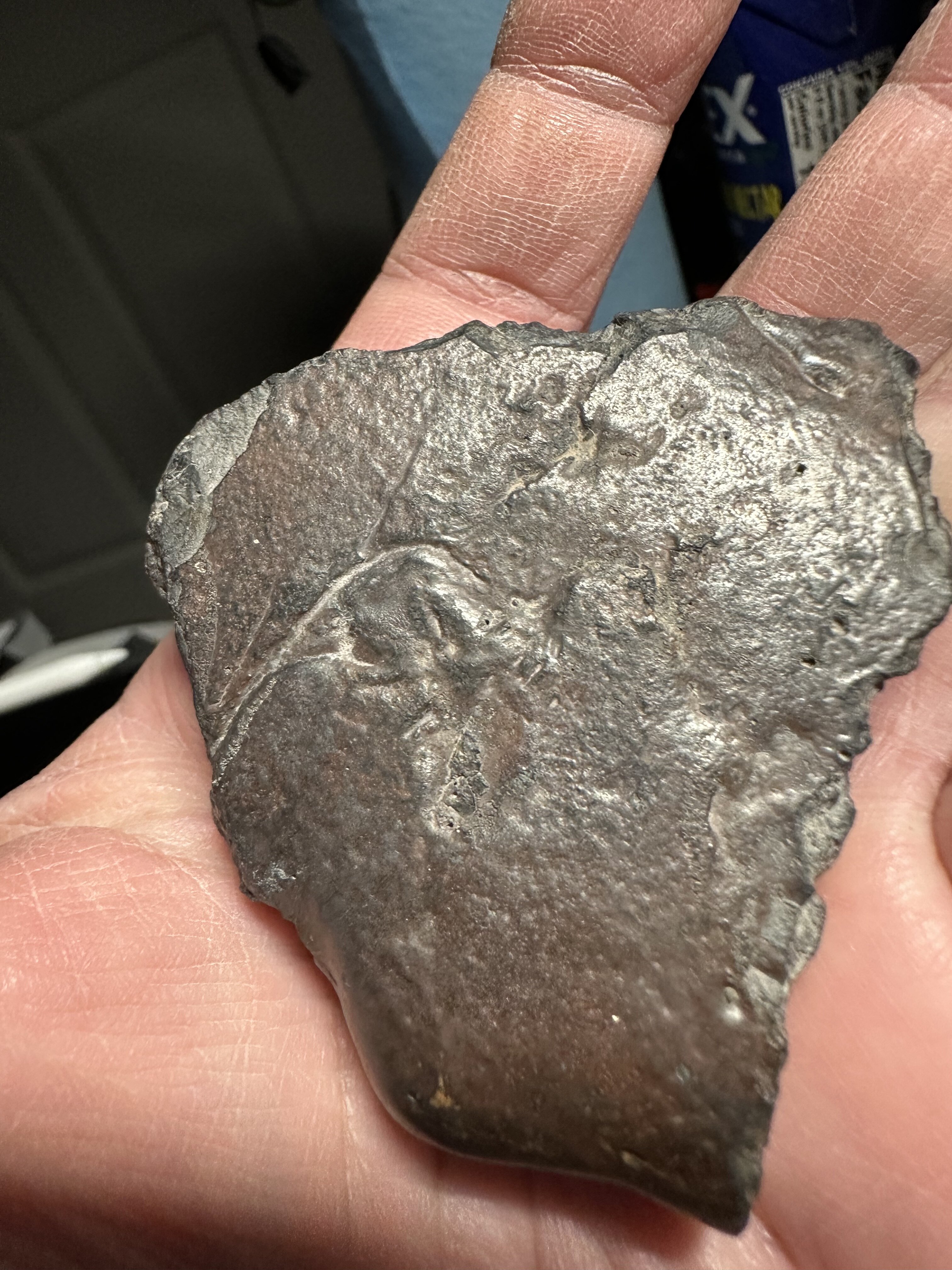 Meteorite? - Rocks & Minerals - The Fossil Forum