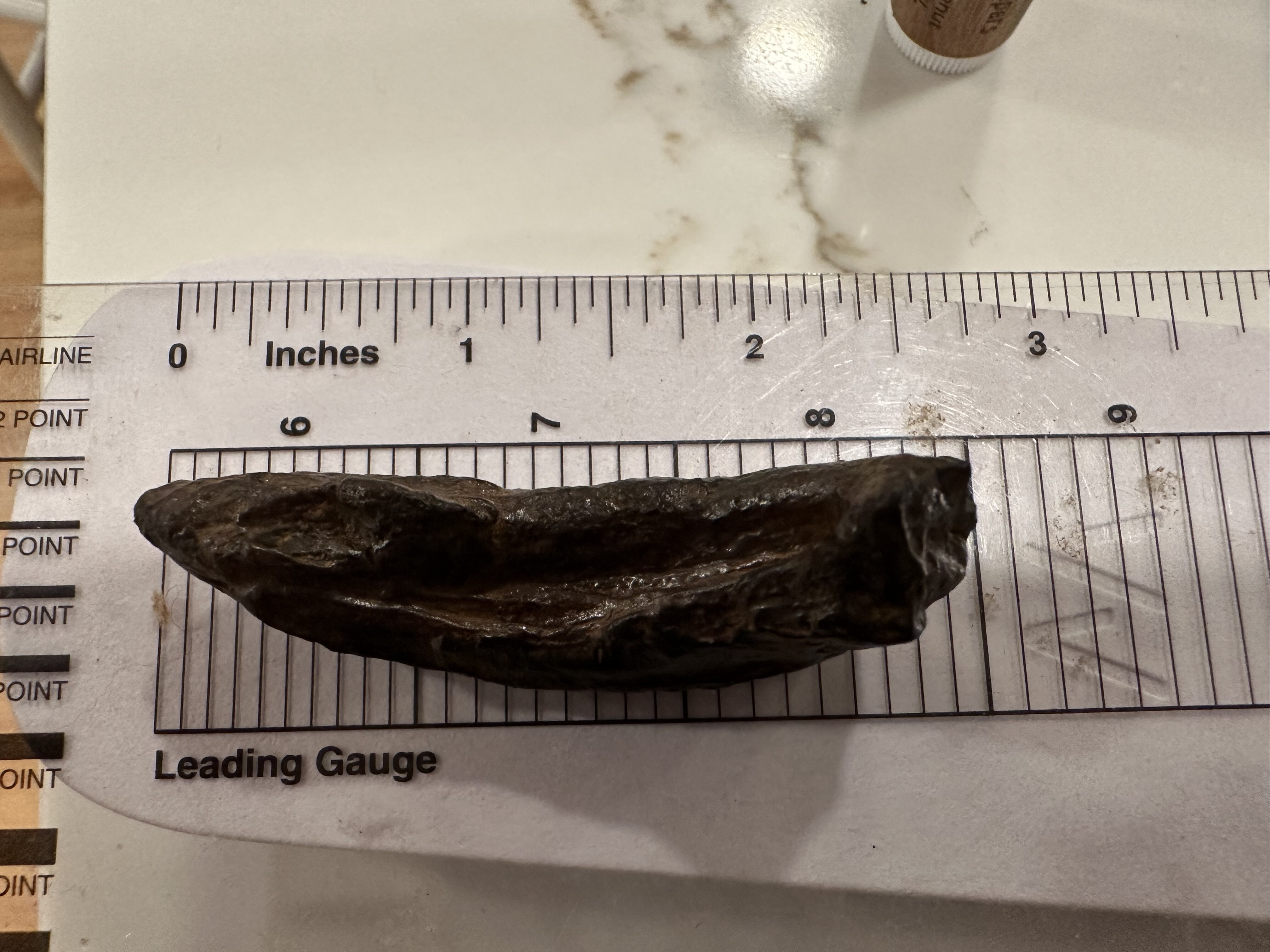 Claw Id help needed - Fossil ID - The Fossil Forum