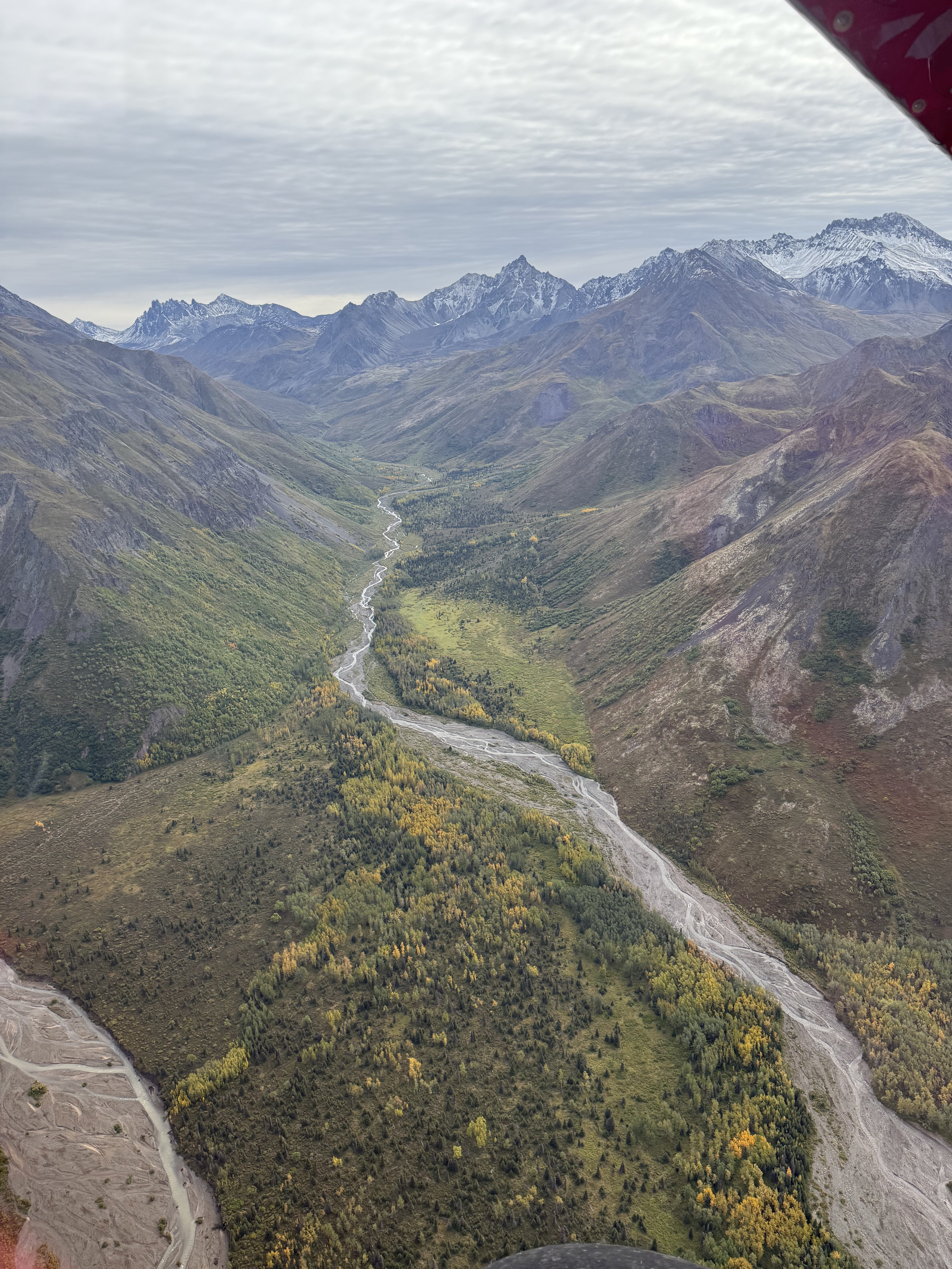 Fall Colors and Termination Dust - Fossil Hunting Trips - The Fossil Forum