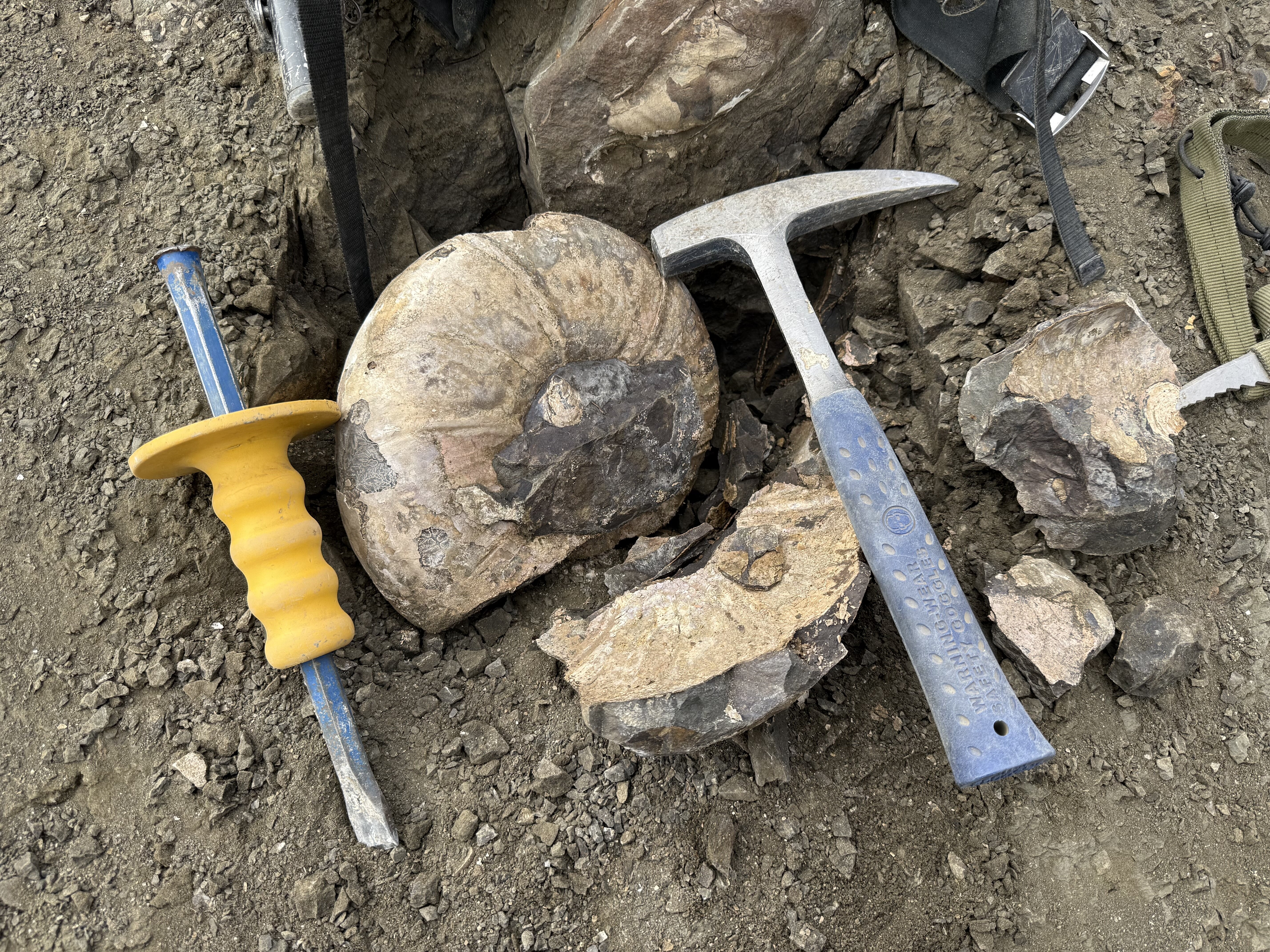 Fall Colors and Termination Dust - Fossil Hunting Trips - The Fossil Forum