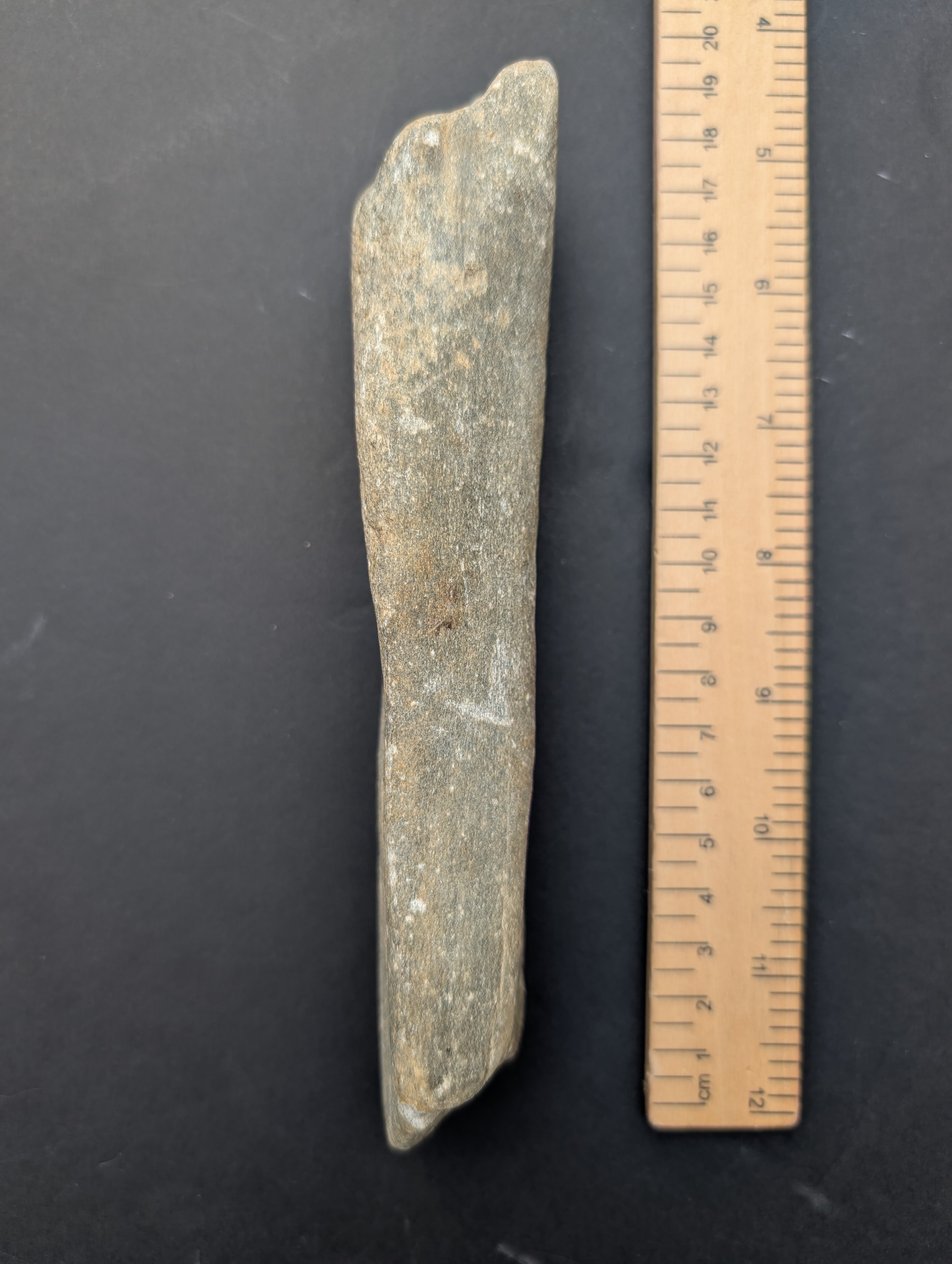 Possible Megaloceros giganteus fossil? River Thames London - Fossil ID ...